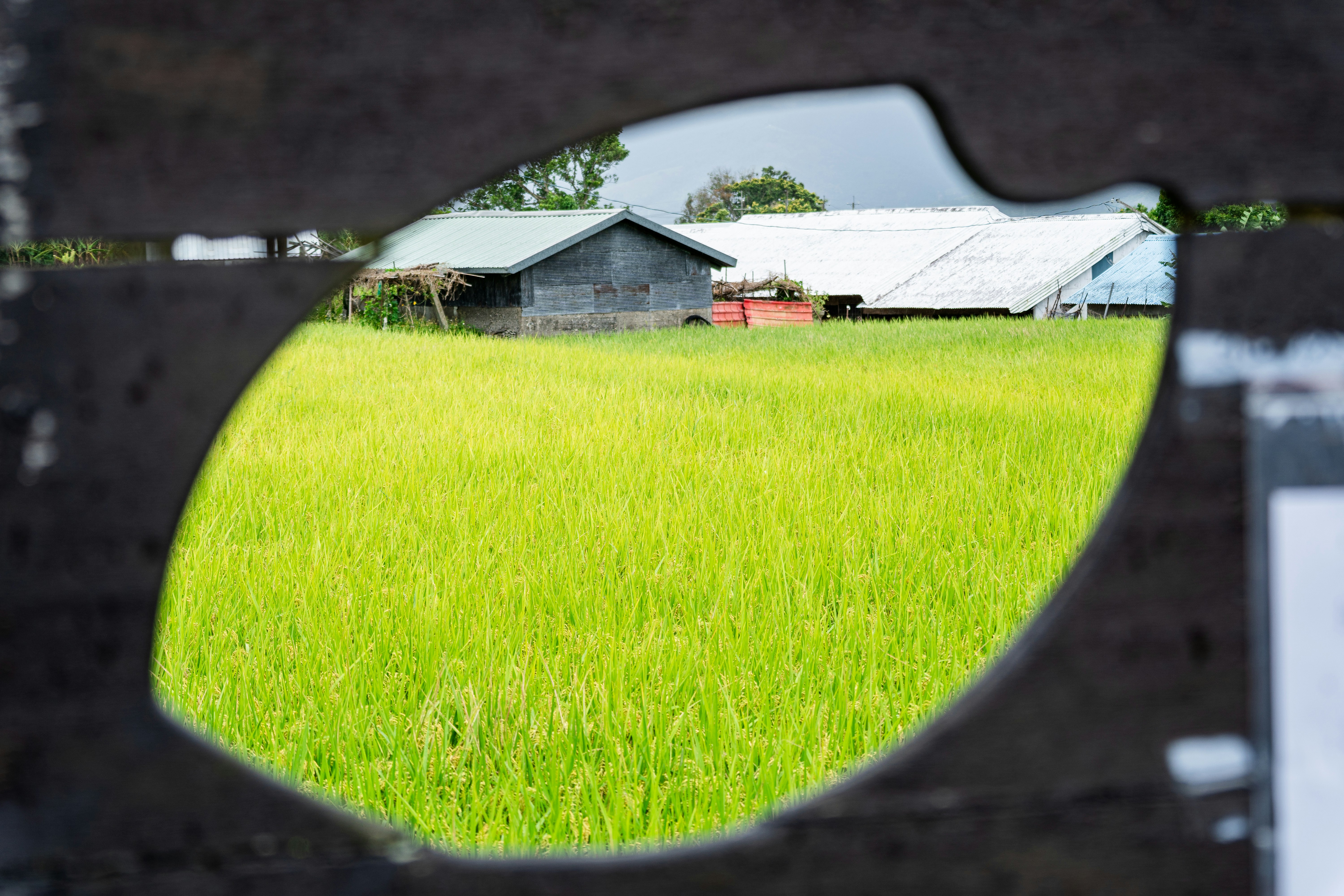 Framed Serenity: A Glimpse of Rural Life