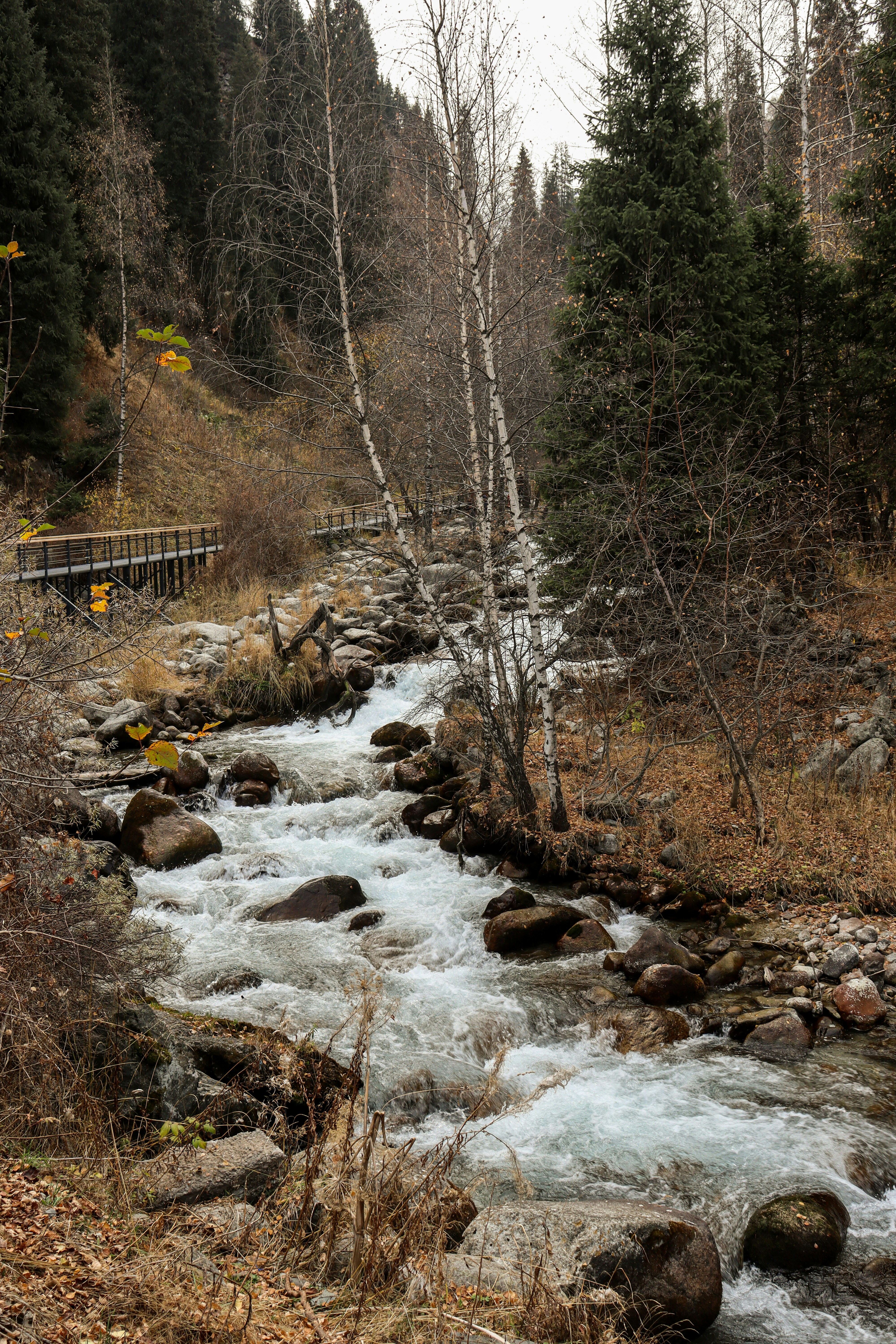 Autumn in the mountains of Almaty. | A mountain stream flows through a rocky, wooded landscape.