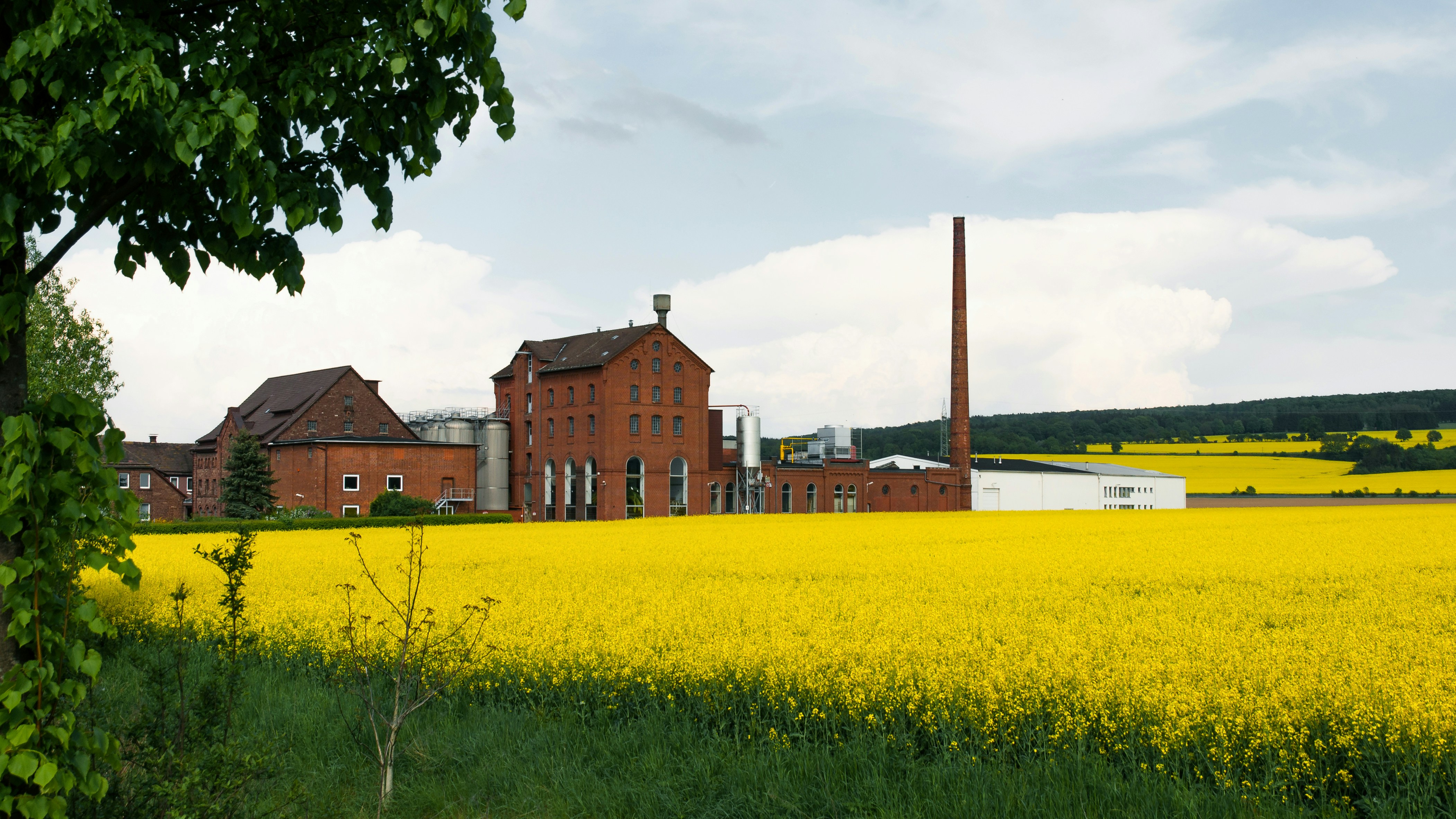 Industrial Harmony Amidst Golden Fields
