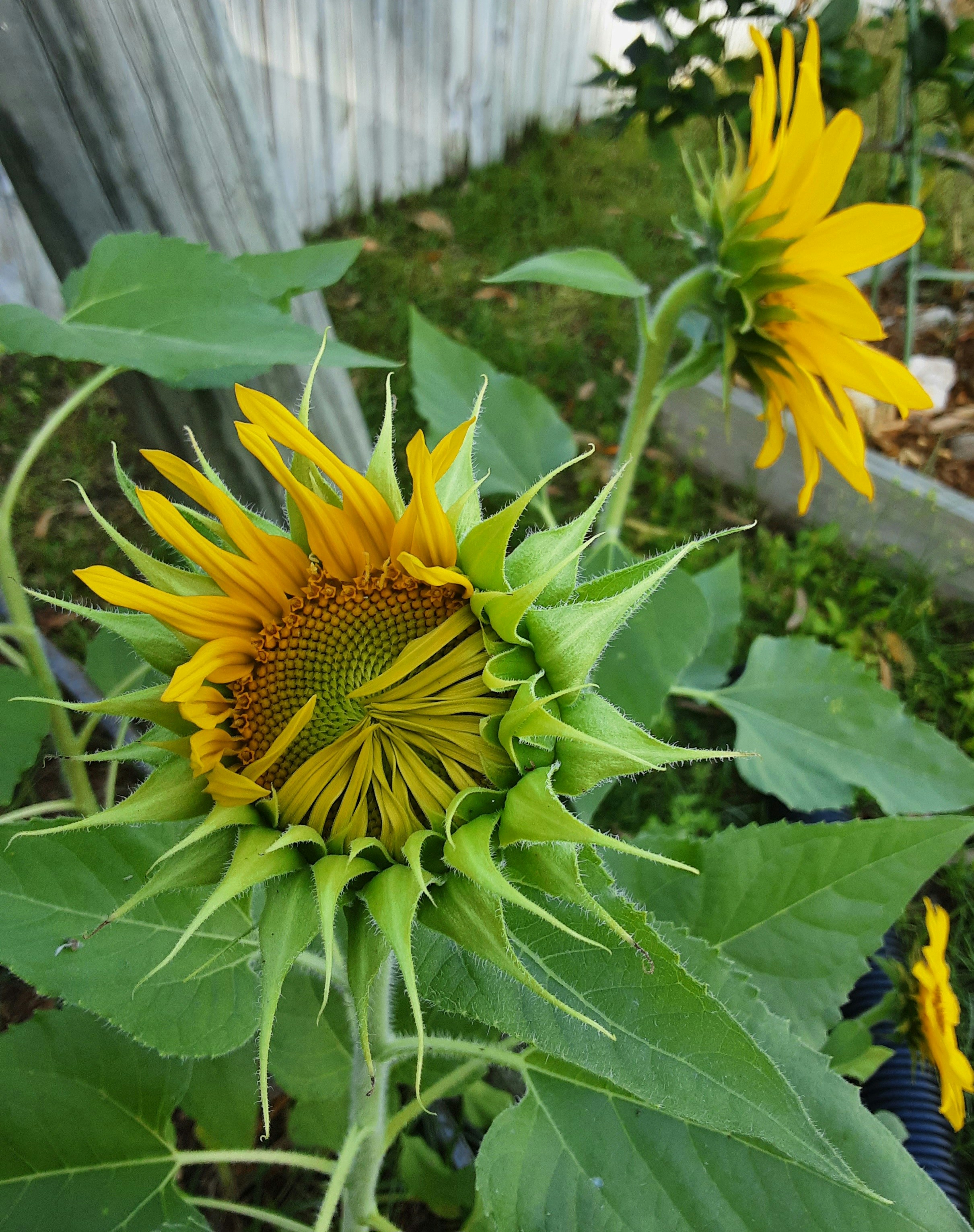Donna Morgan (@morgand360) | Unsplash 사진 커뮤니티