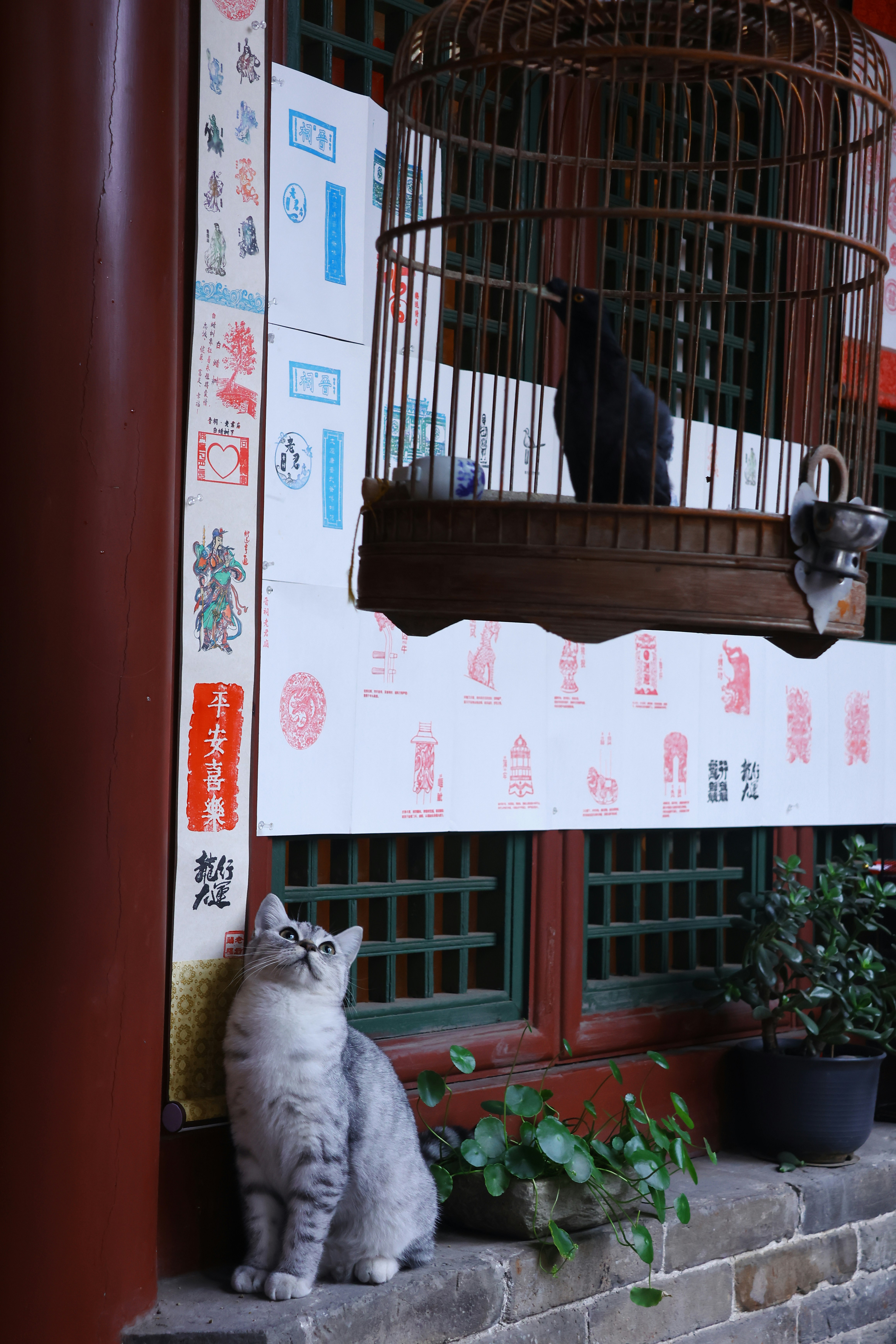 Whiskers and Wings: A Curious Encounter