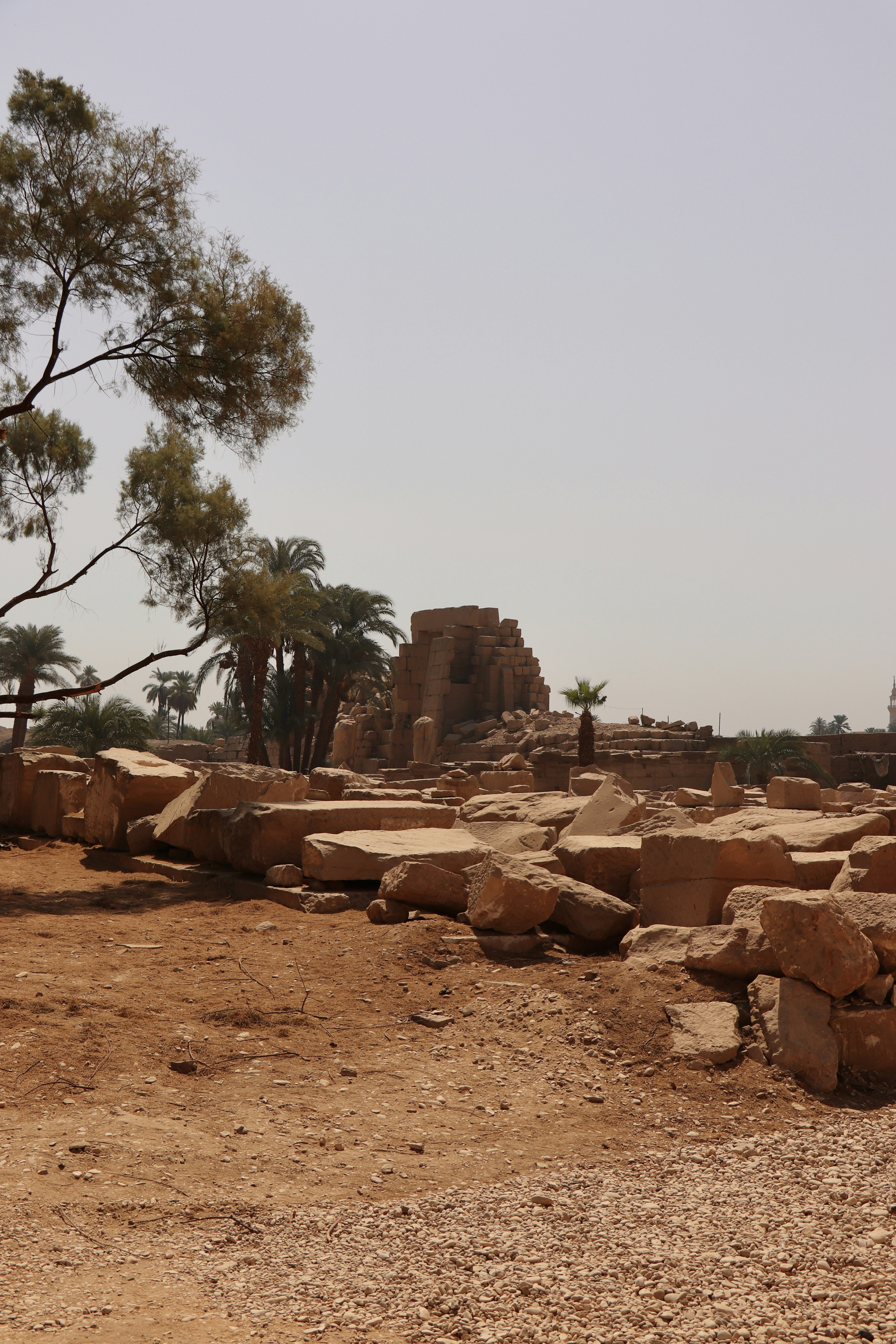 Sunlit view across scattered sandstone blocks and palm trees within the Temple of Luxor. A partially collapsed pylon rises in the distance under a hazy desert sky, revealing the scale, texture, and ongoing archaeology of this New Kingdom complex along the Nile. | Ancient ruins with palm trees under a clear sky