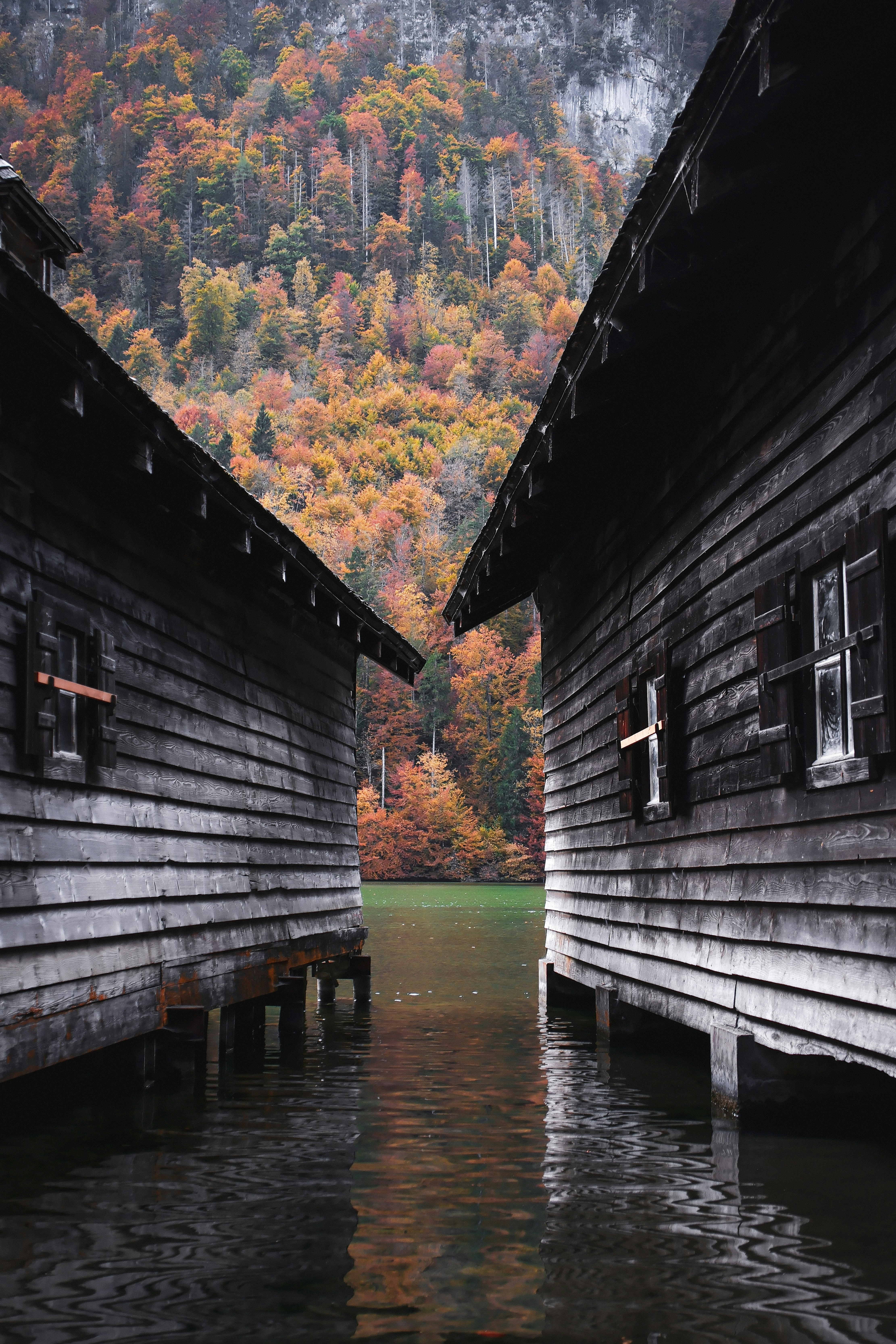 Whispers of Autumn Between the Cabins
