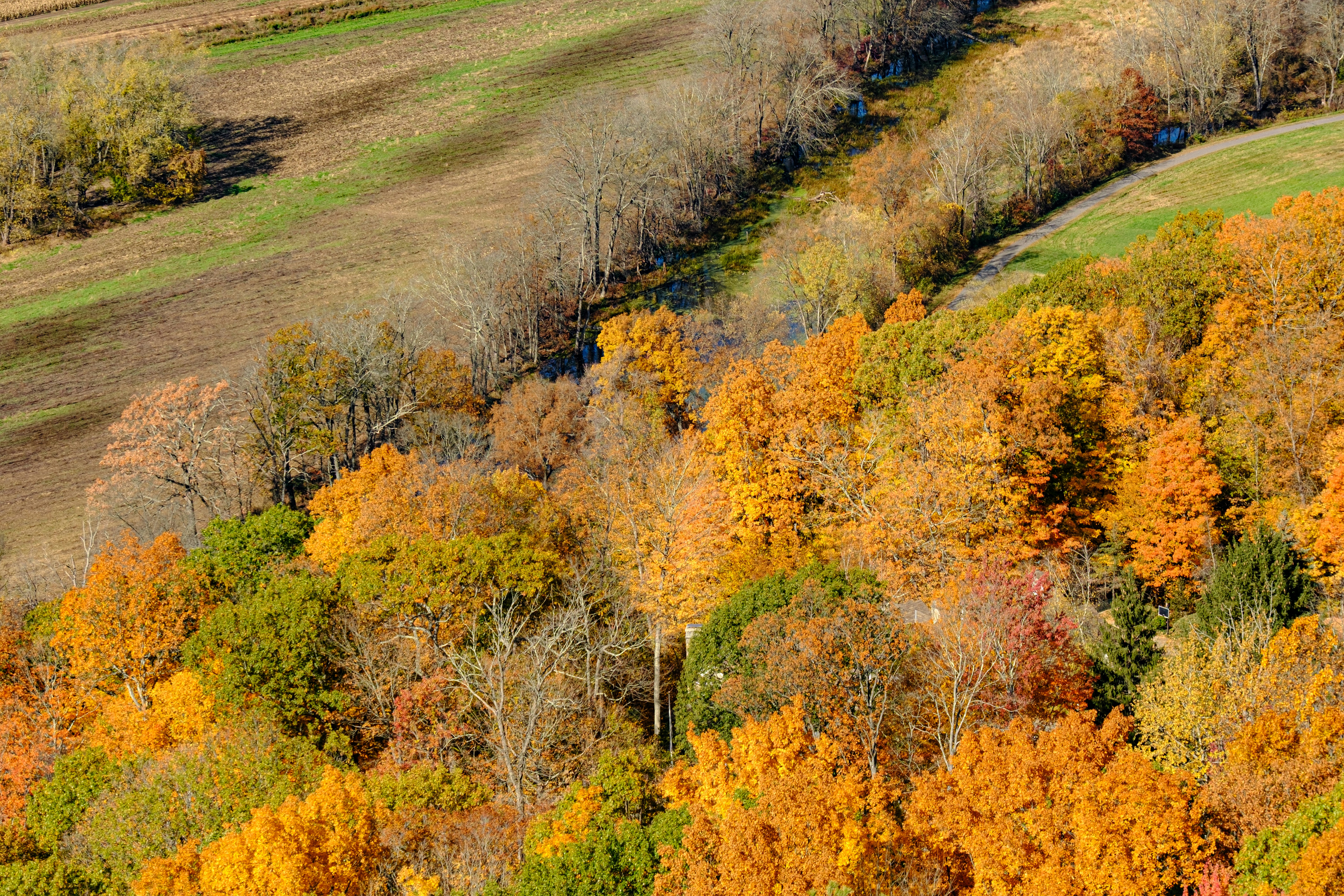 Vibrant fall foliage blankets the landscape, showcasing a rich palette of orange, yellow, and green amidst a serene rural backdrop.
