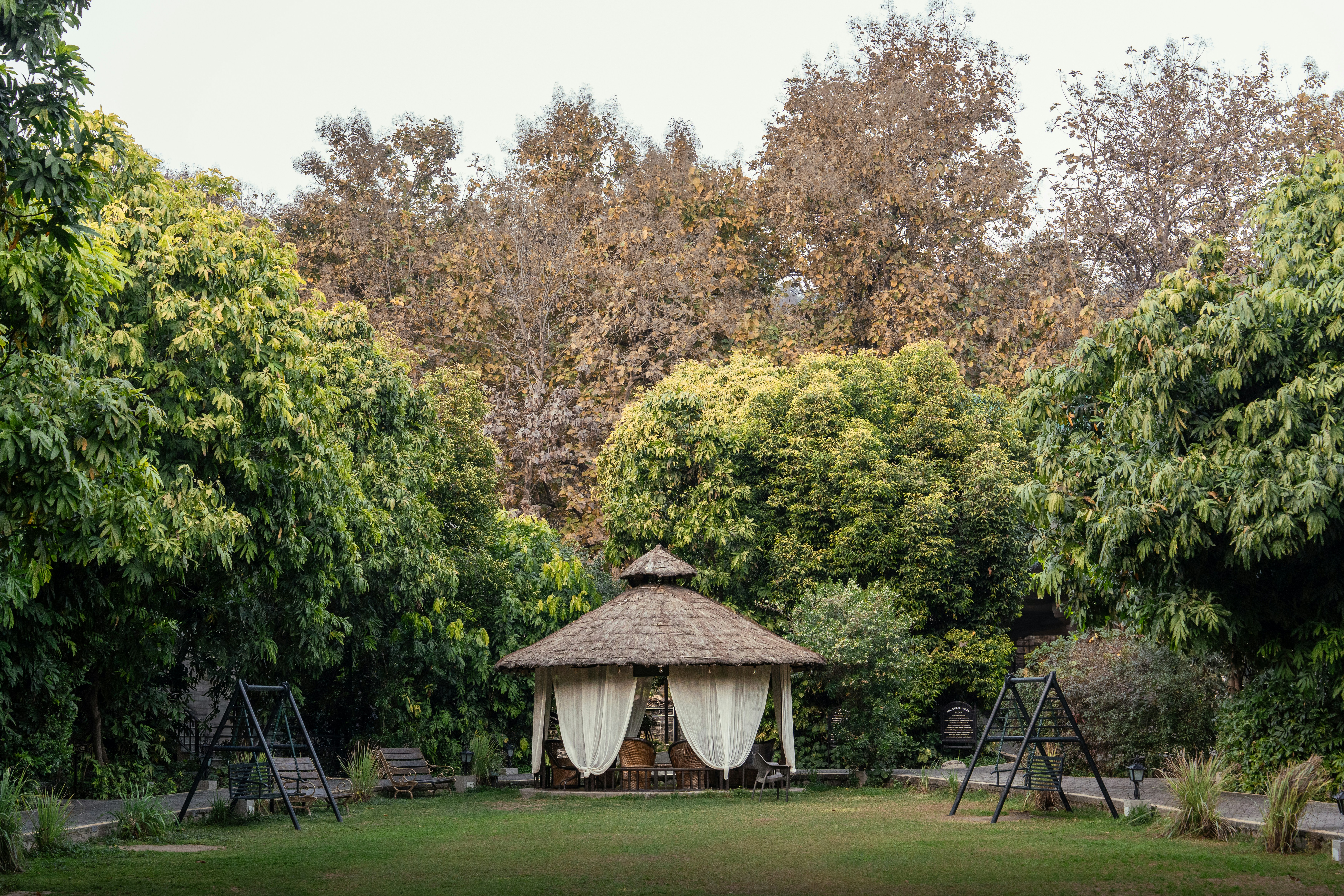 Aahana Resort, the best nature view resort in Jim Corbett, offers breathtaking vistas of lush forests and tranquil landscapes. Experience unmatched luxury amidst nature’s serenity, where every stay feels like a retreat into the wild. | Thatched gazebo with curtains in a lush garden.