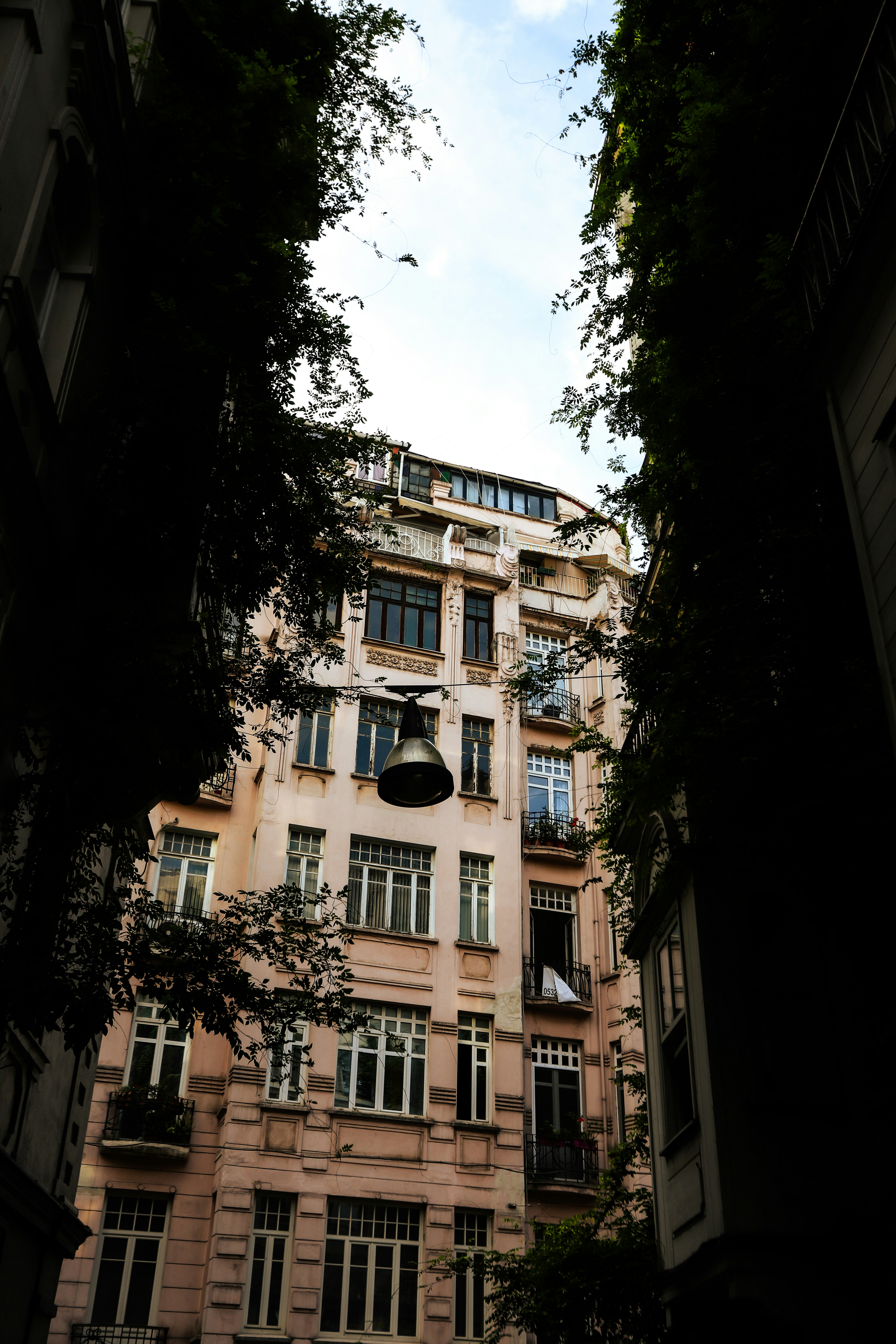 Urban Oasis: Nature's Embrace in City Architecture