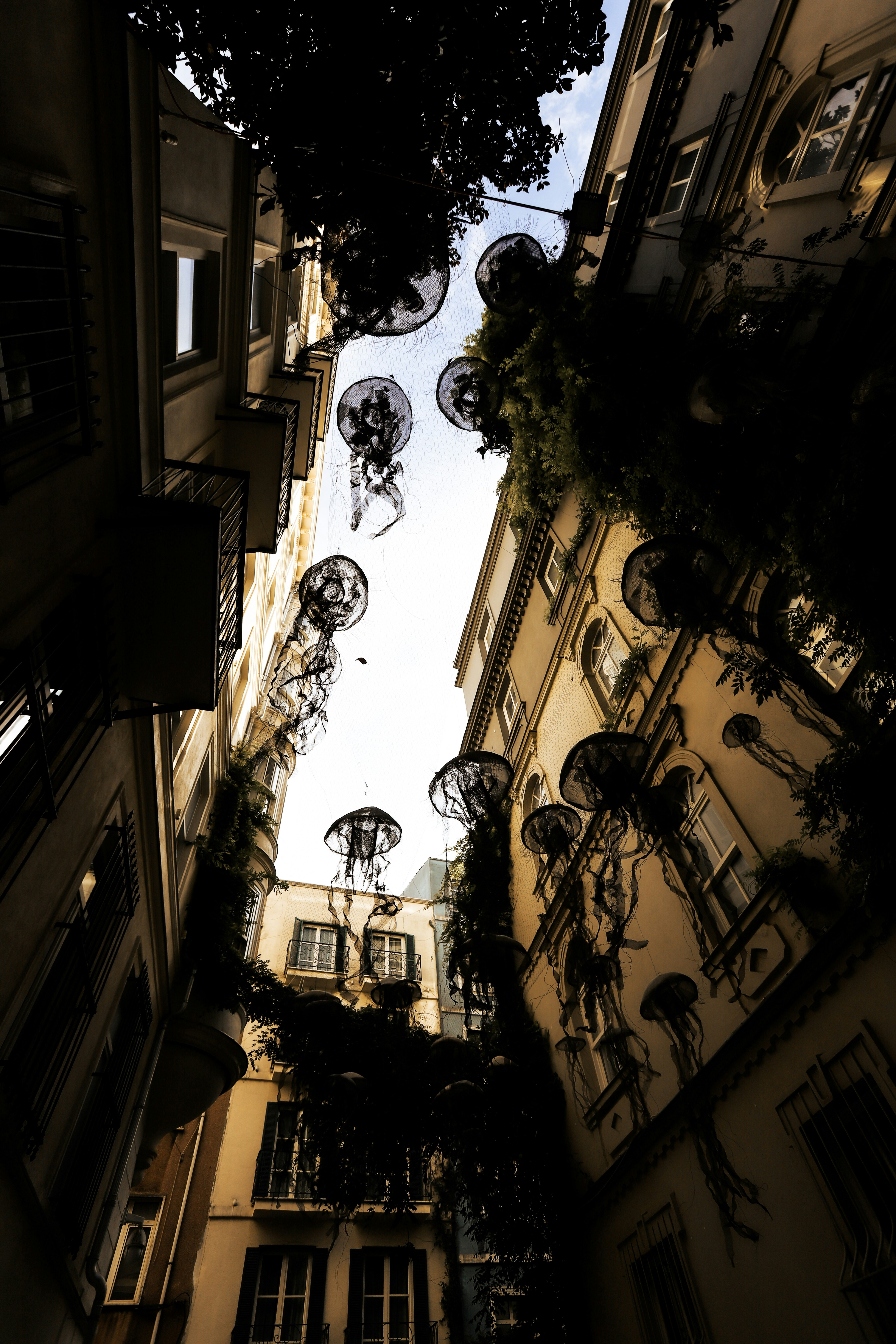 Urban Canopy: A Dance of Nature and Architecture