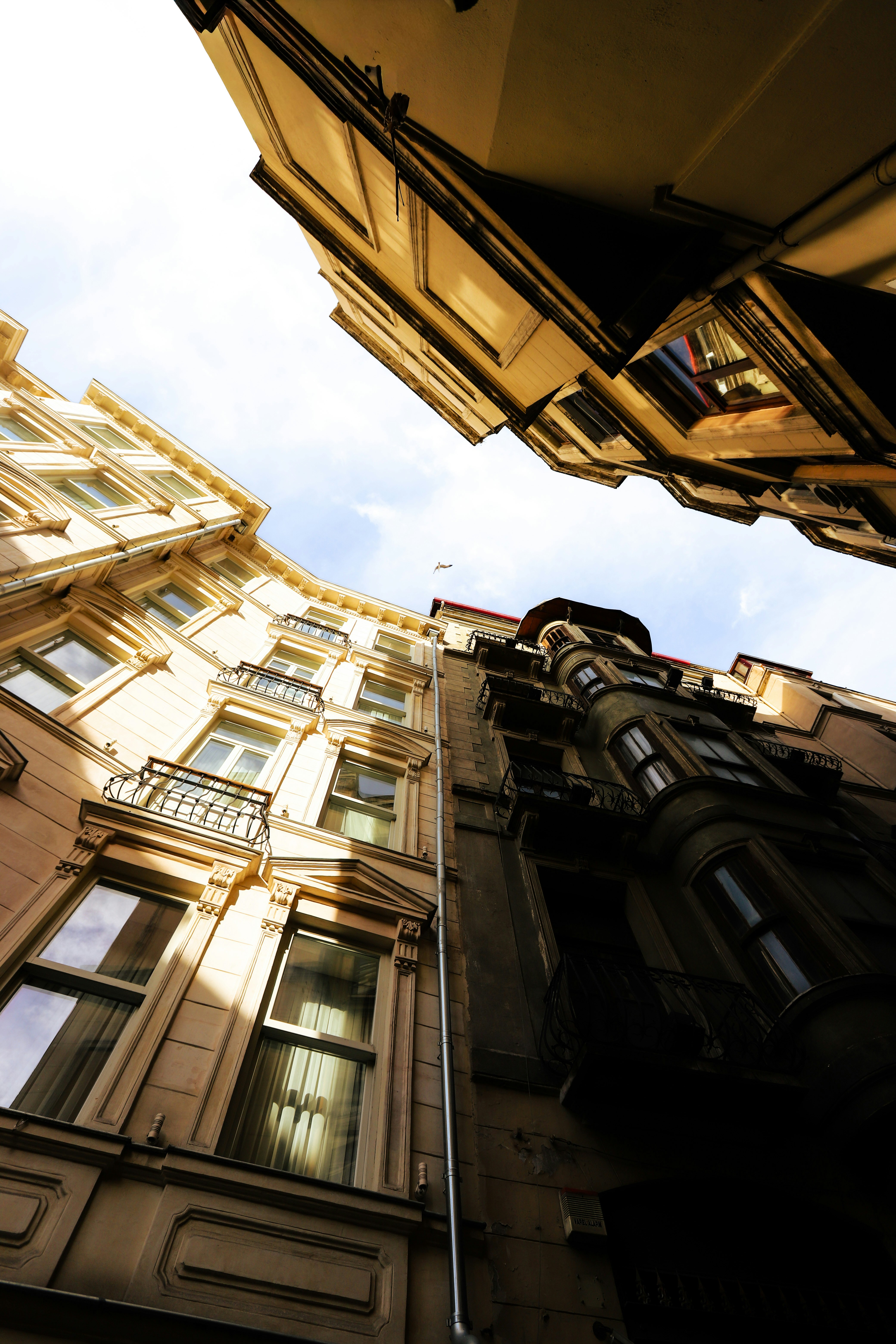Urban Canopy: A Glimpse into Architectural Layers