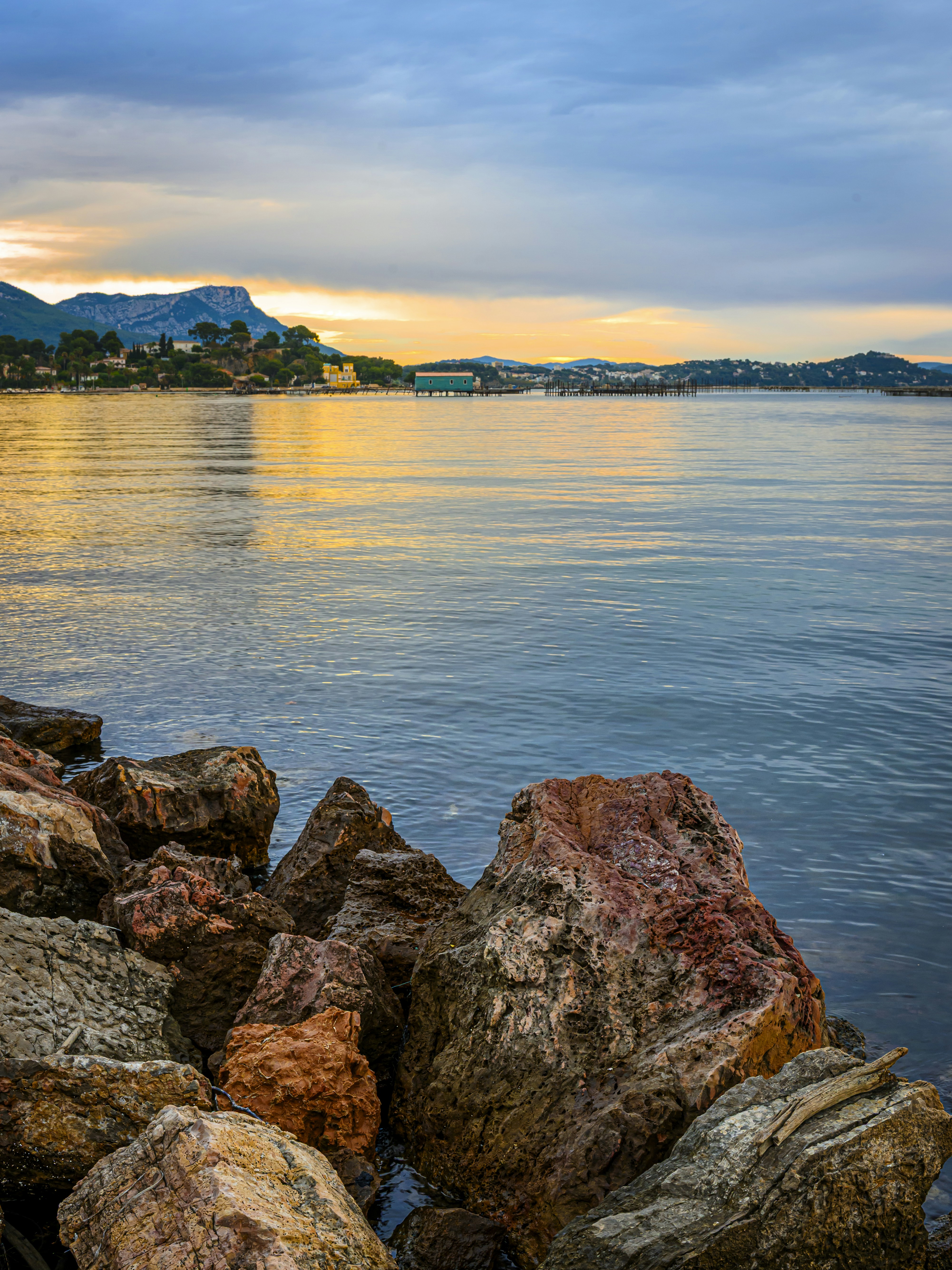 Serenity by the Shoreline