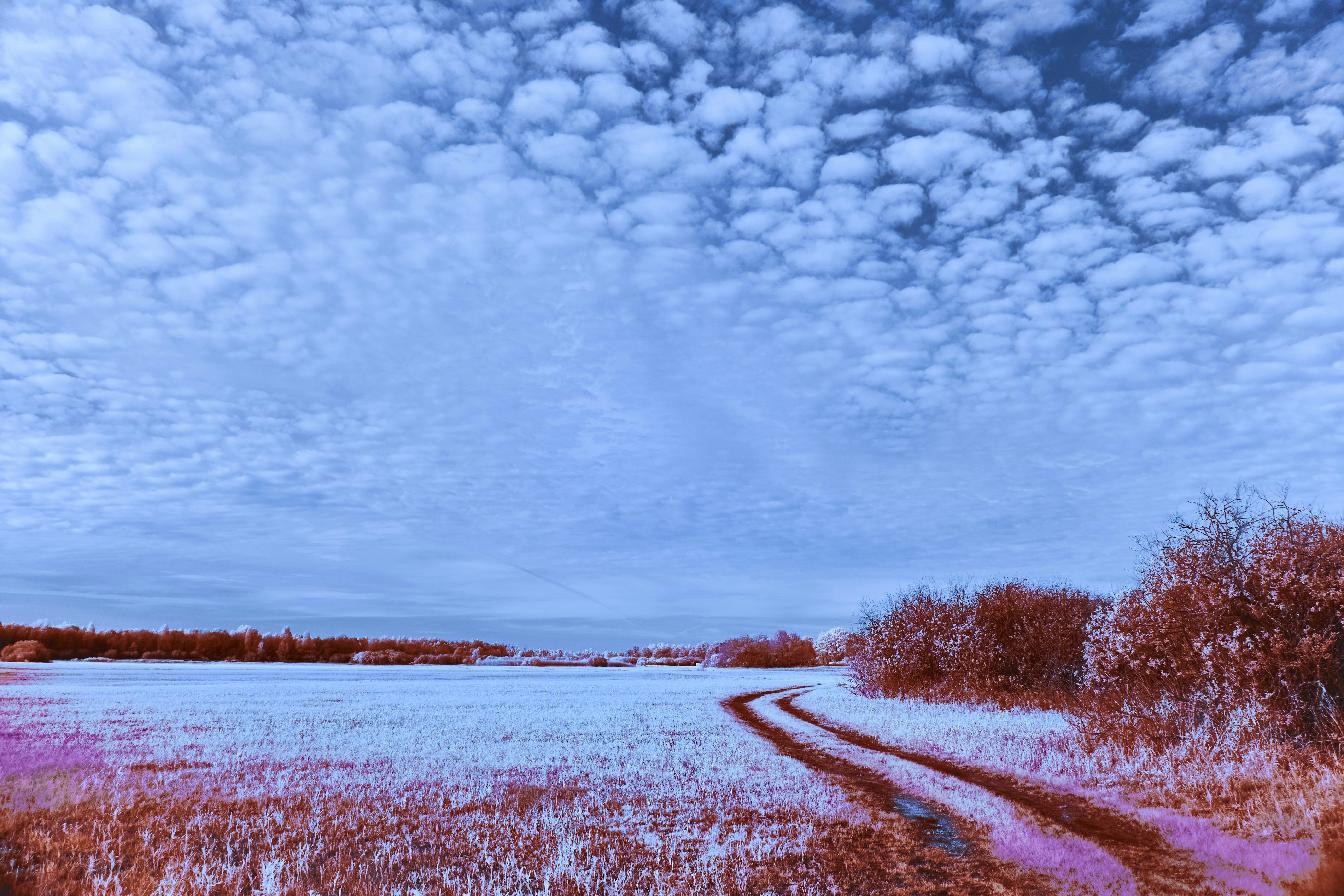 Curving dirt path leads through a tranquil field under a textured sky, showcasing an ethereal color palette.