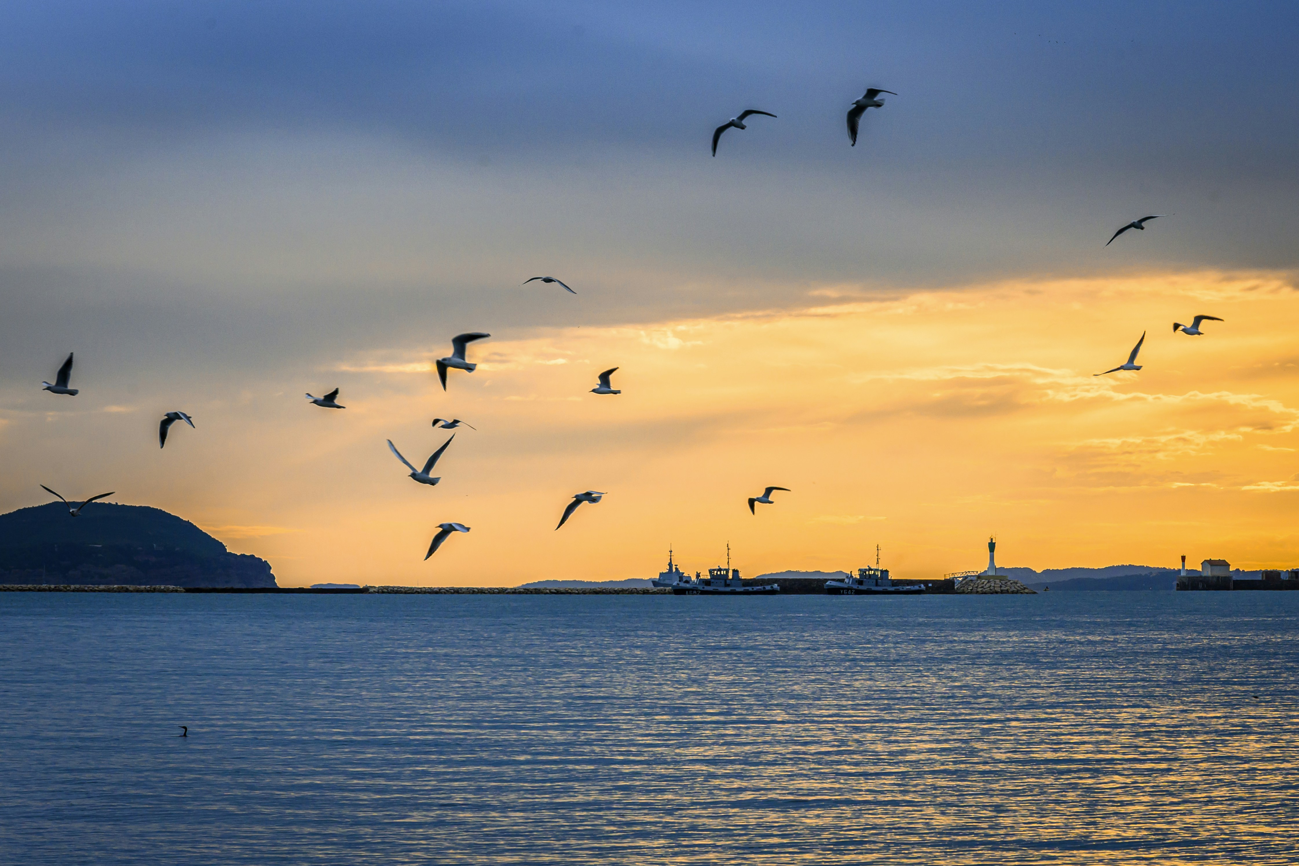 Seagulls fly over the ocean at sunset.