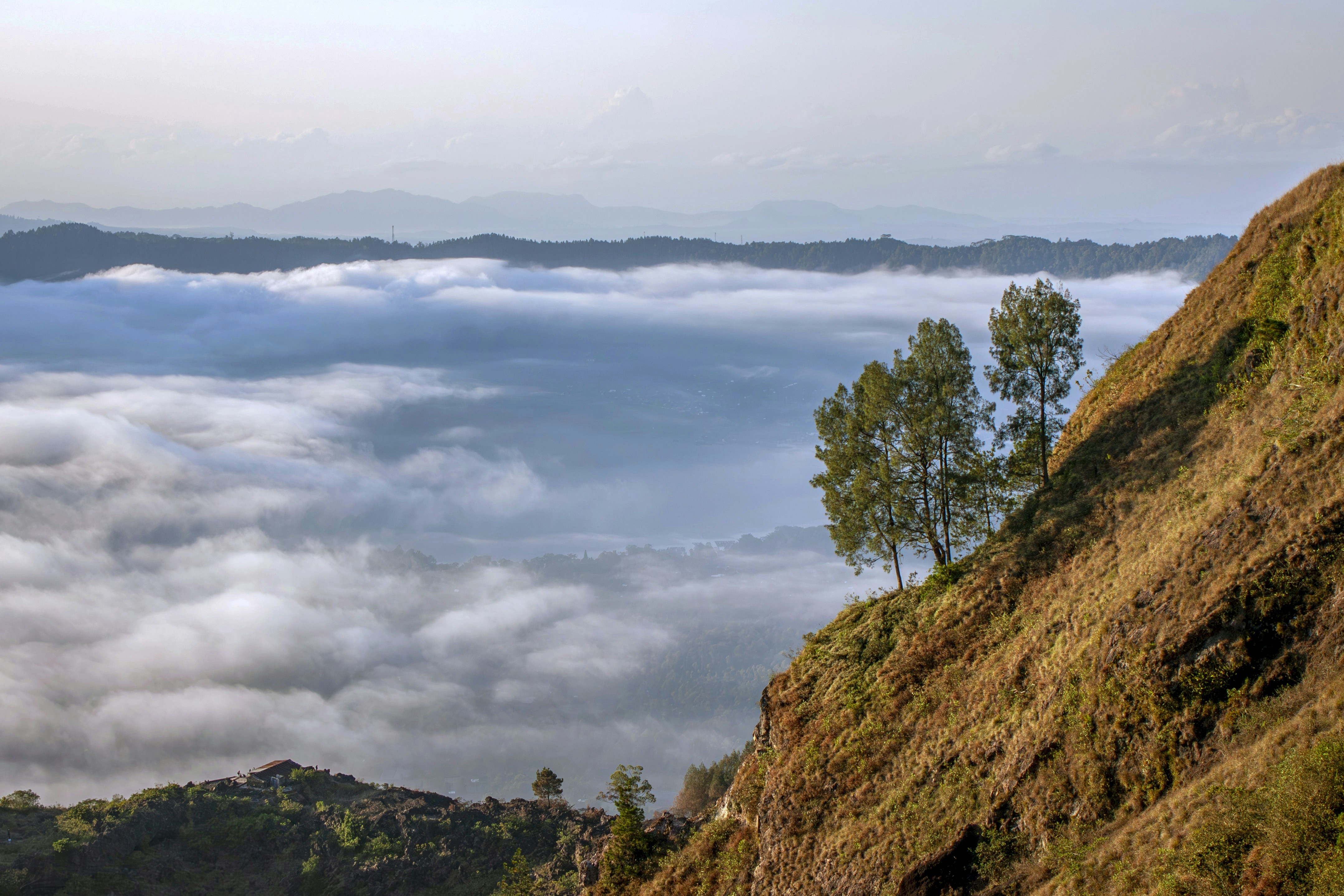 Whispers of the Misty Mountains