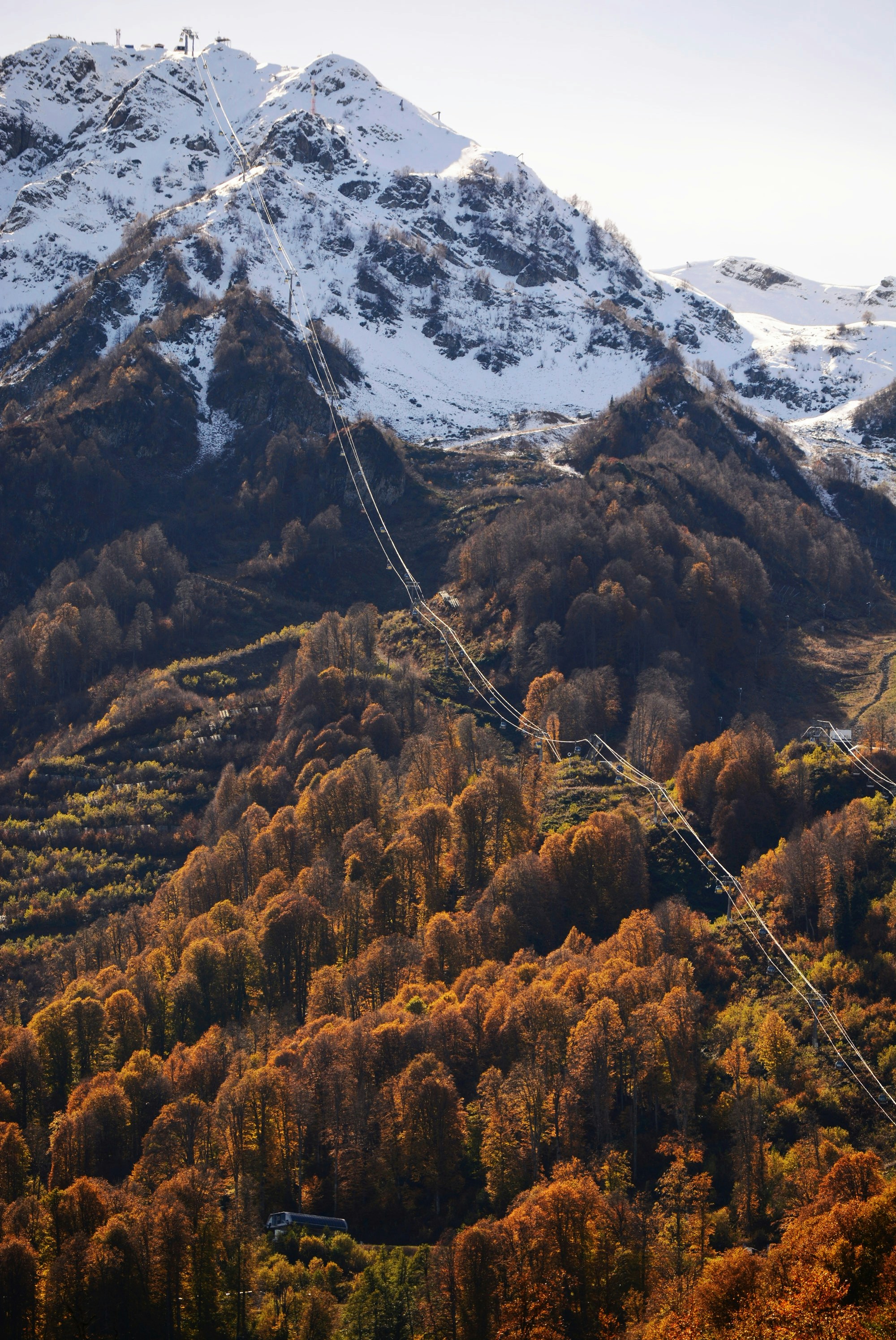 Autumn's Embrace on the Slopes