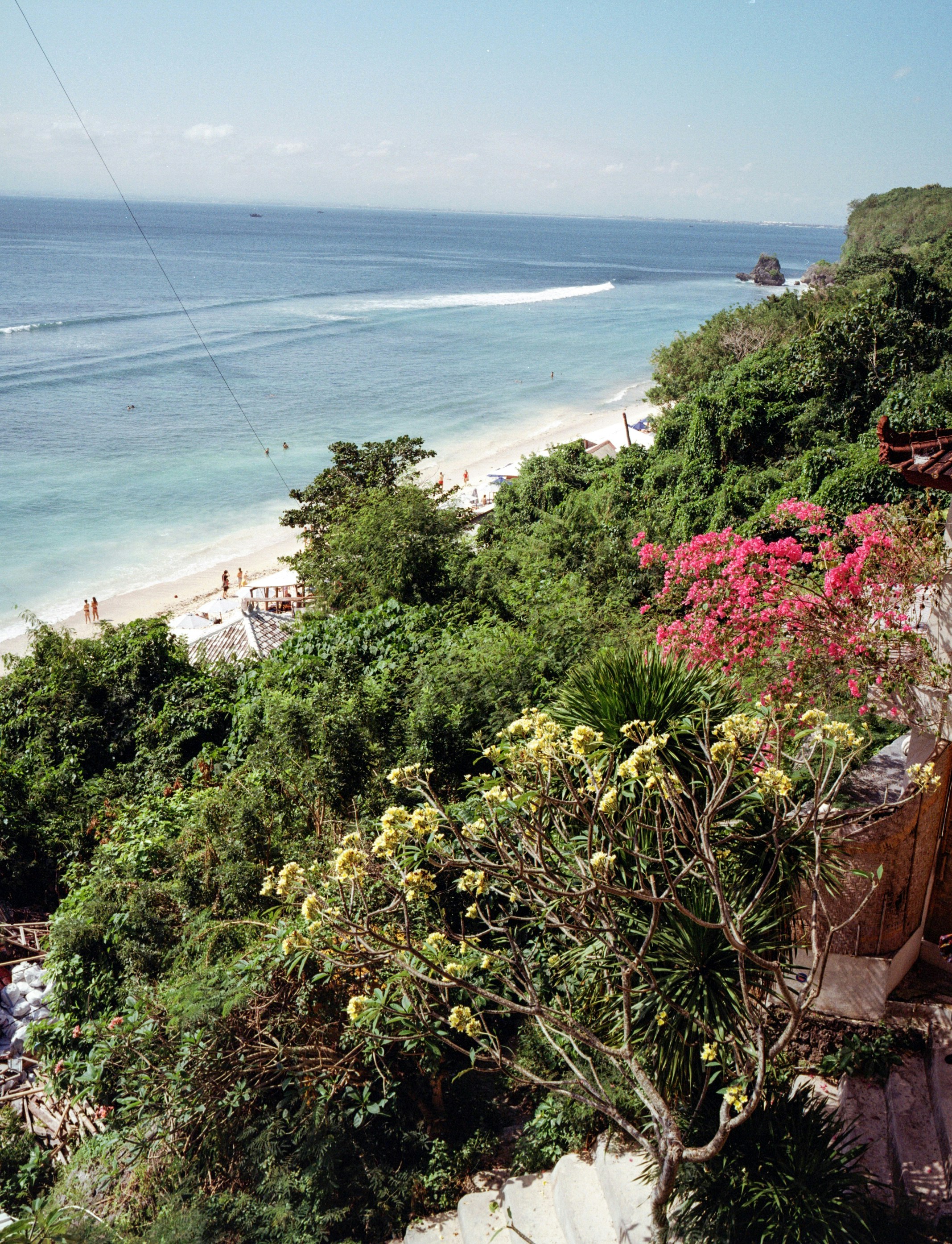 Kodak Gold 200 🎞️ | Lush tropical foliage overlooks a sunny beach and ocean.
