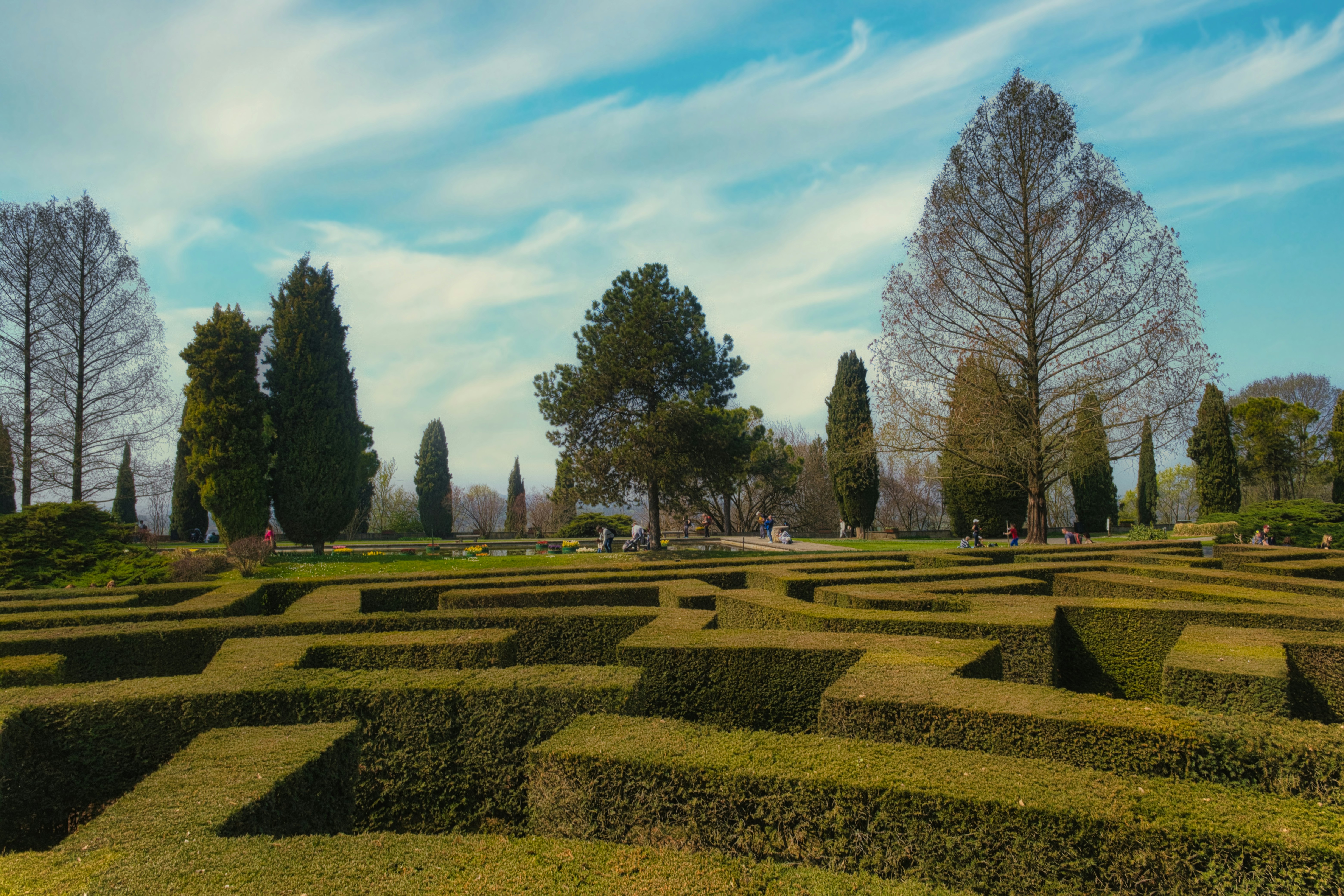 labyrinth garden | A formal garden maze with tall trees under sky