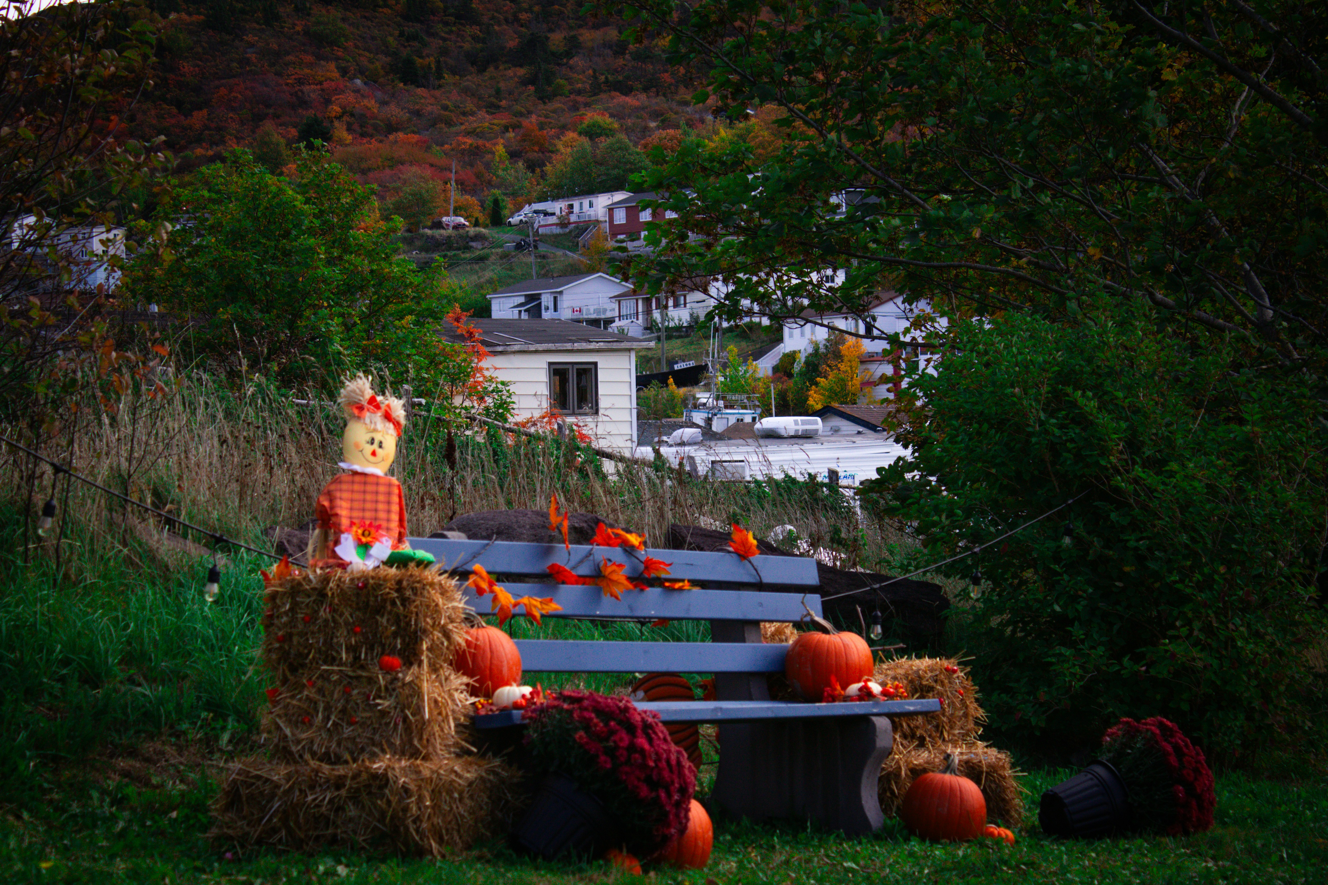 Autumn decorations with pumpkins and scarecrow on bench