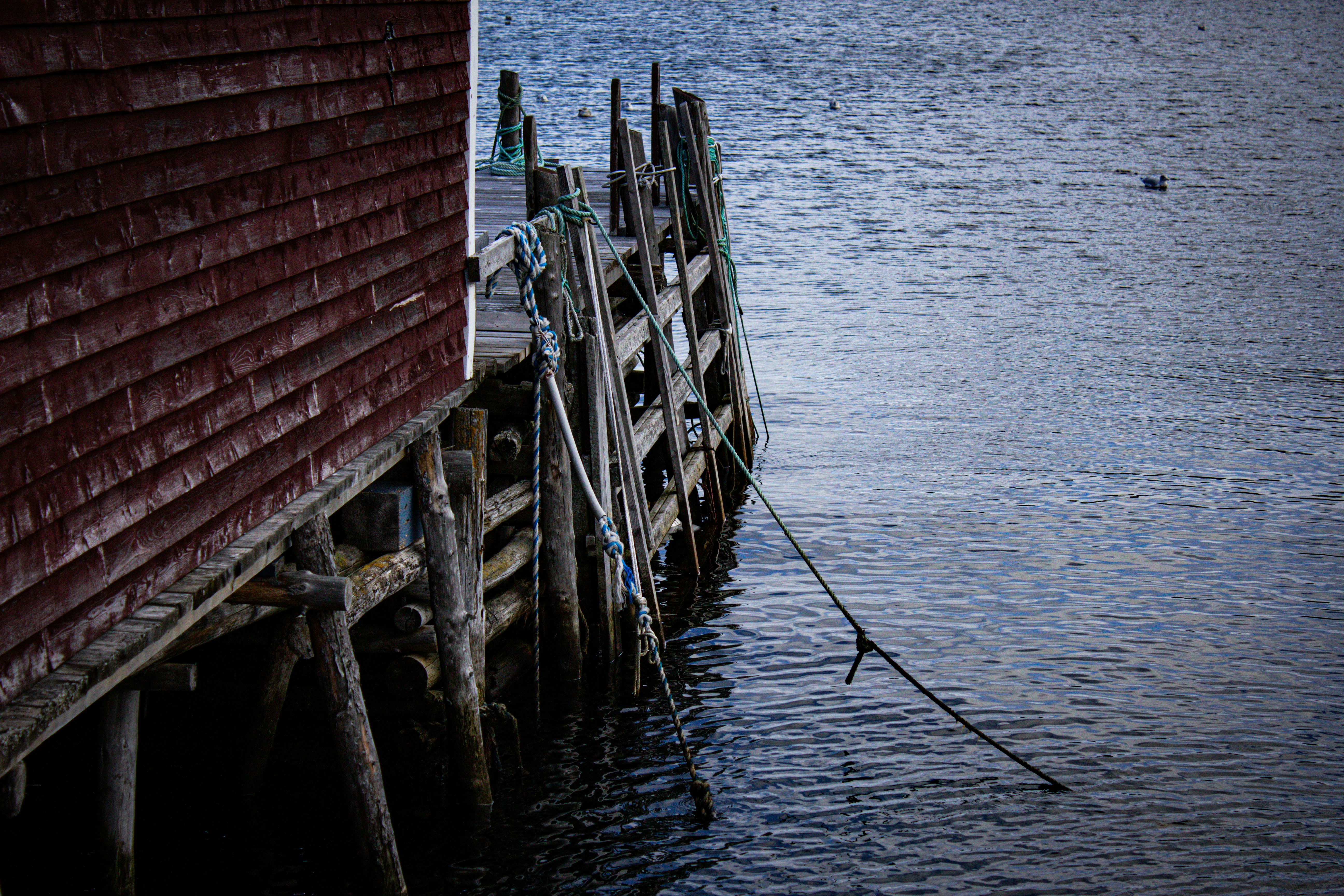Whispers of the Dock: A Tale of Time and Tide