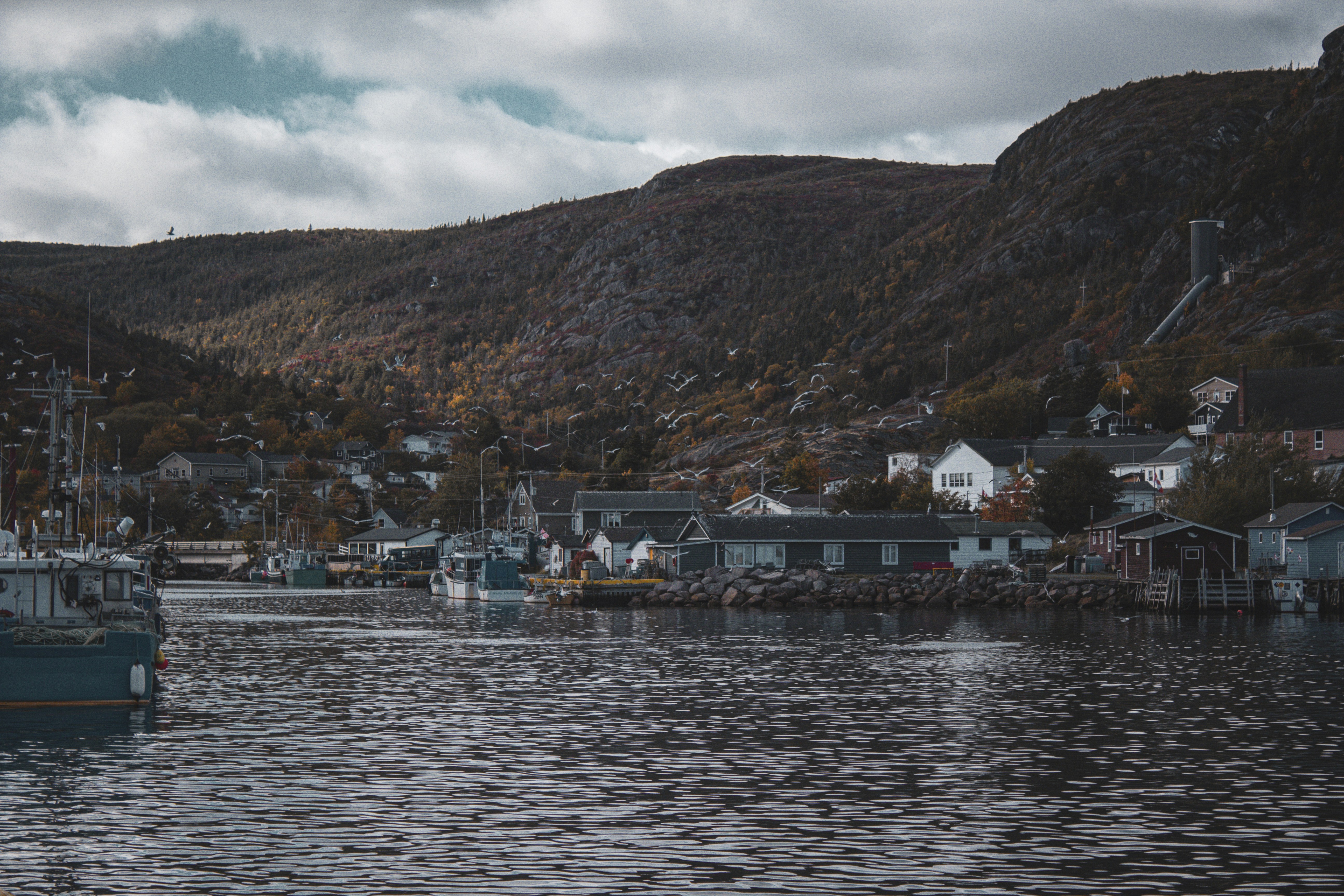 Harbor Serenity: A Coastal Reflection
