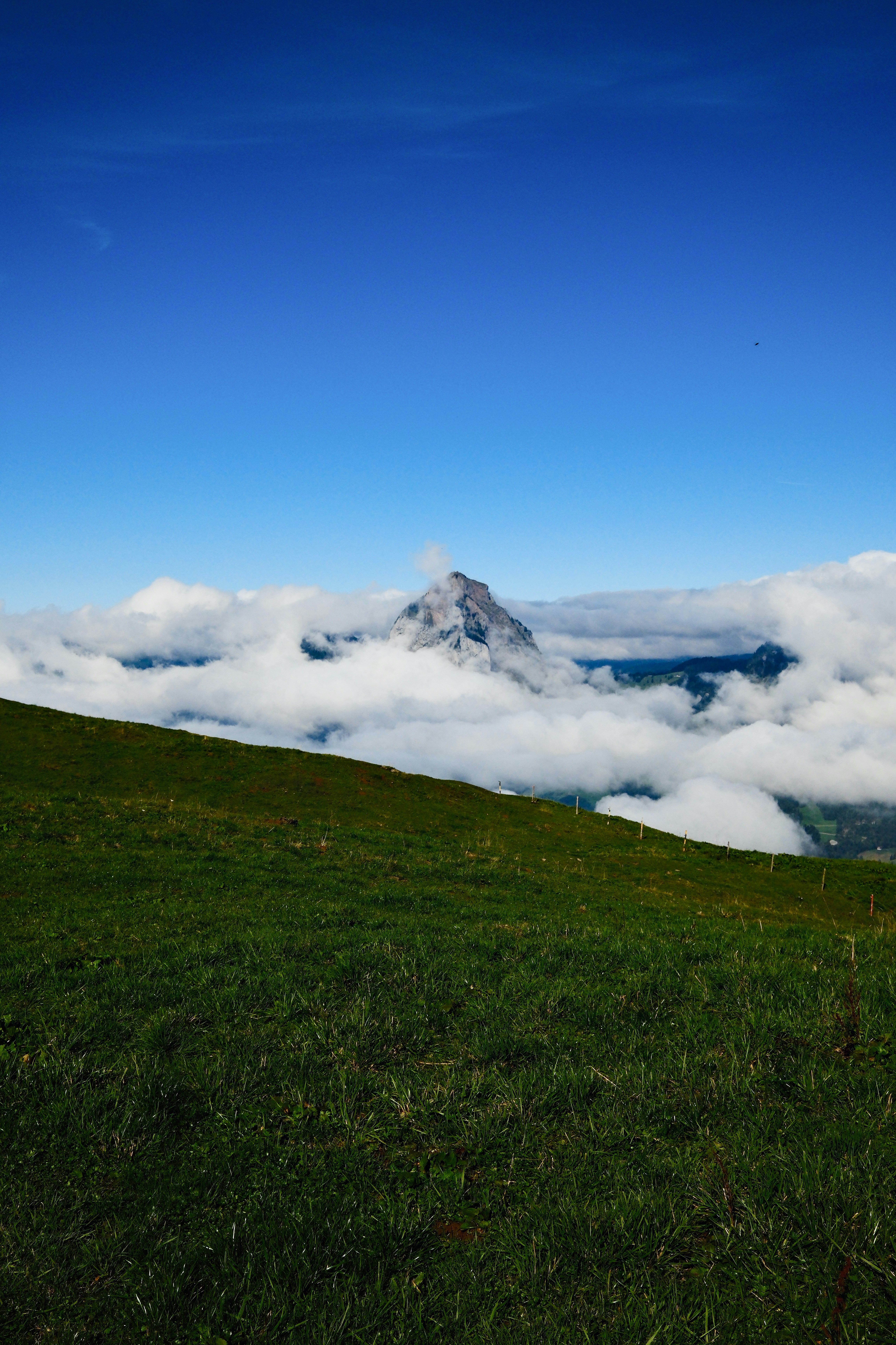 Emerging Sentinel: The Mountain Above the Clouds