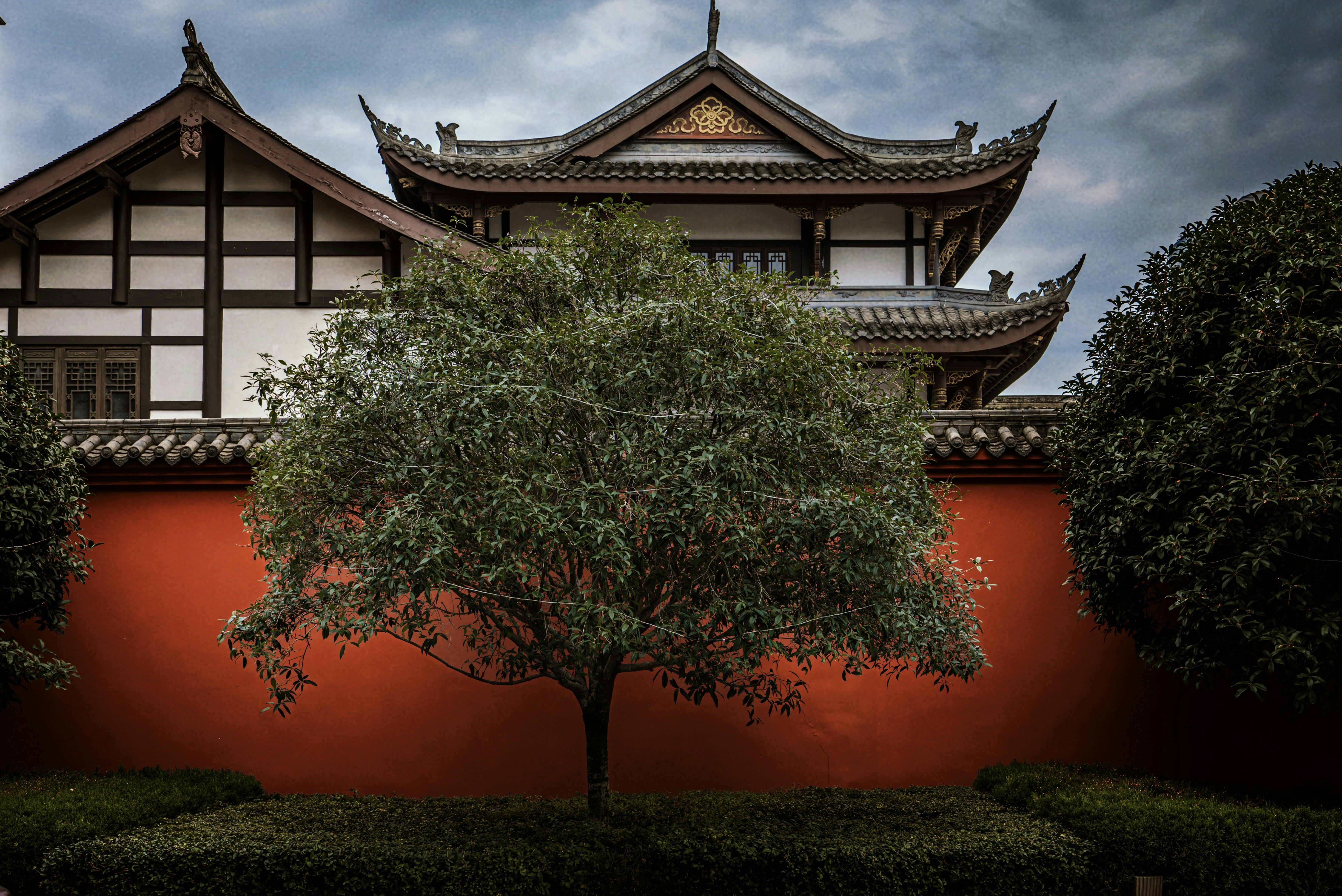 A lush tree stands in front of a traditional building, framed by vibrant orange walls and intricate rooflines.