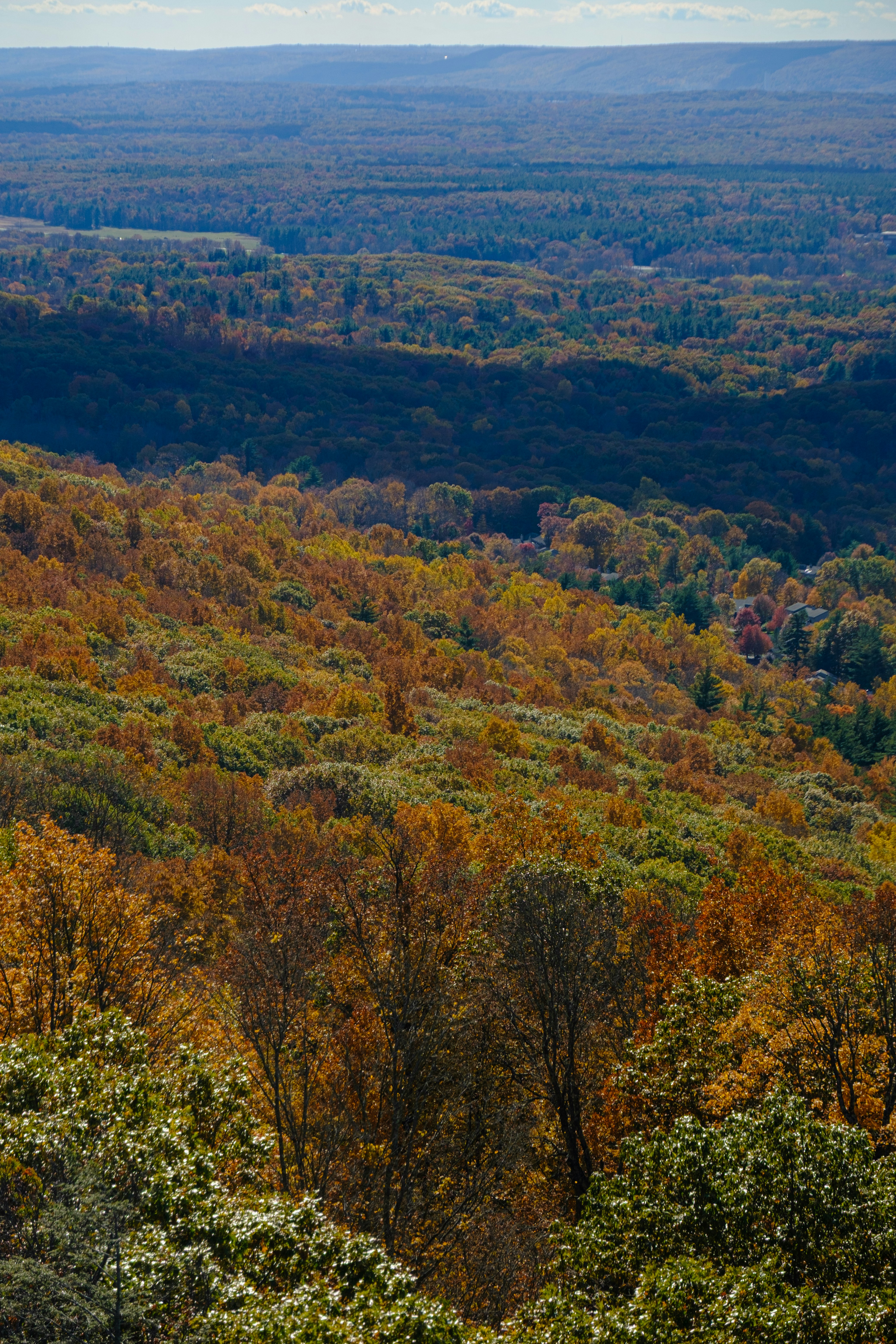 Autumn's Tapestry: A Mosaic of Color