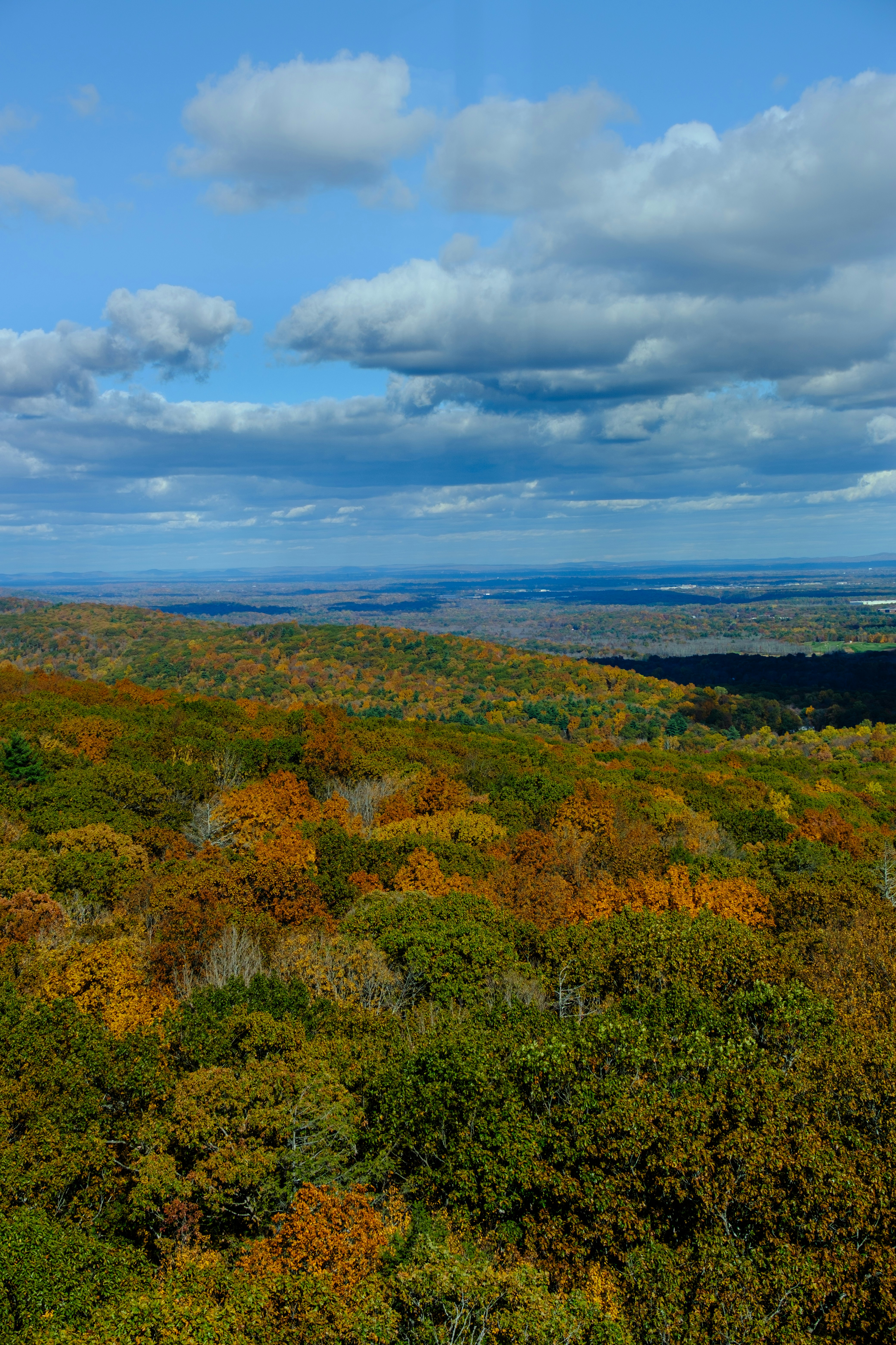 Vibrant autumn foliage blankets rolling hills under a dynamic sky, showcasing nature's seasonal transformation.