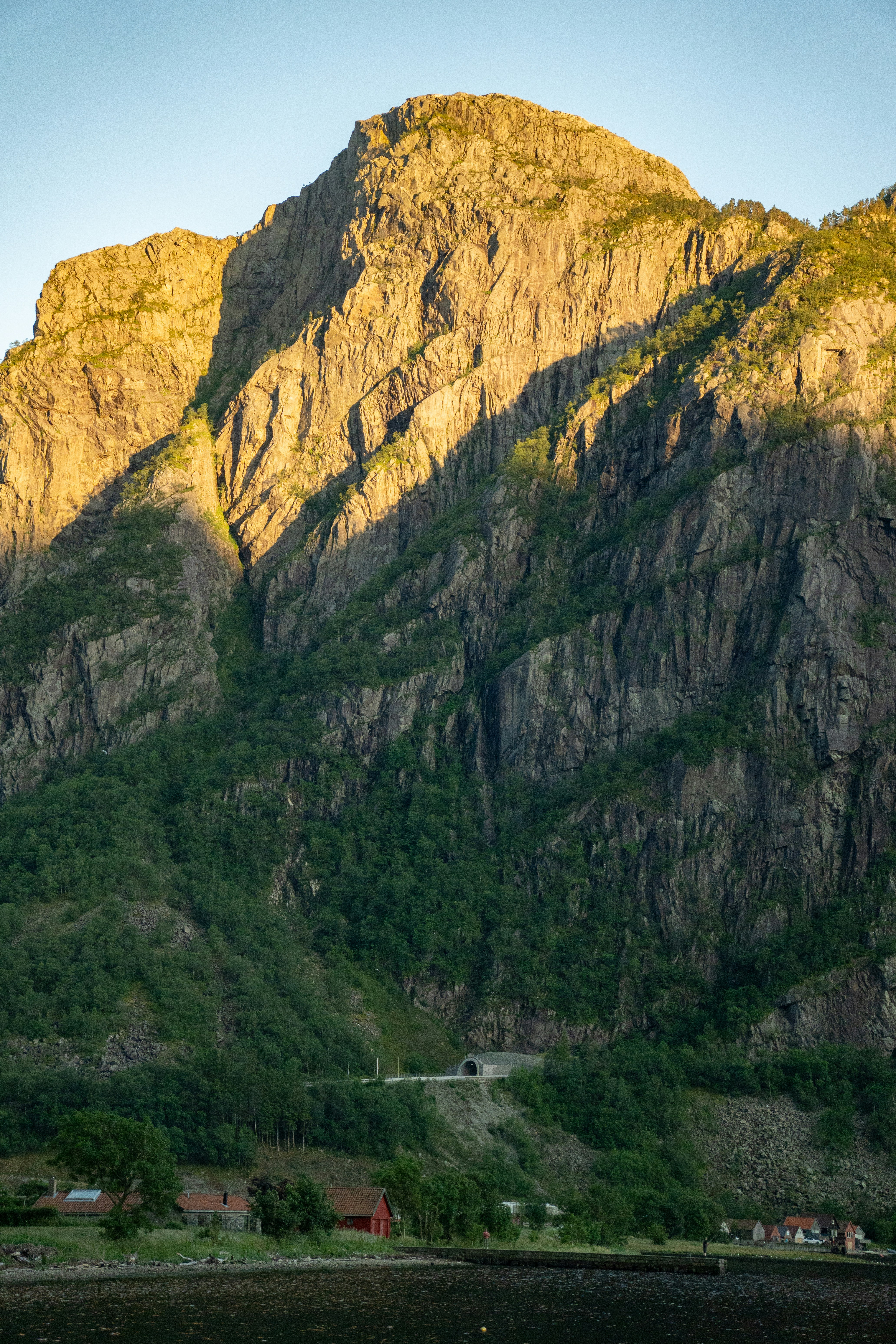 The Majestic Sentinel: Nature's Rugged Sculpture