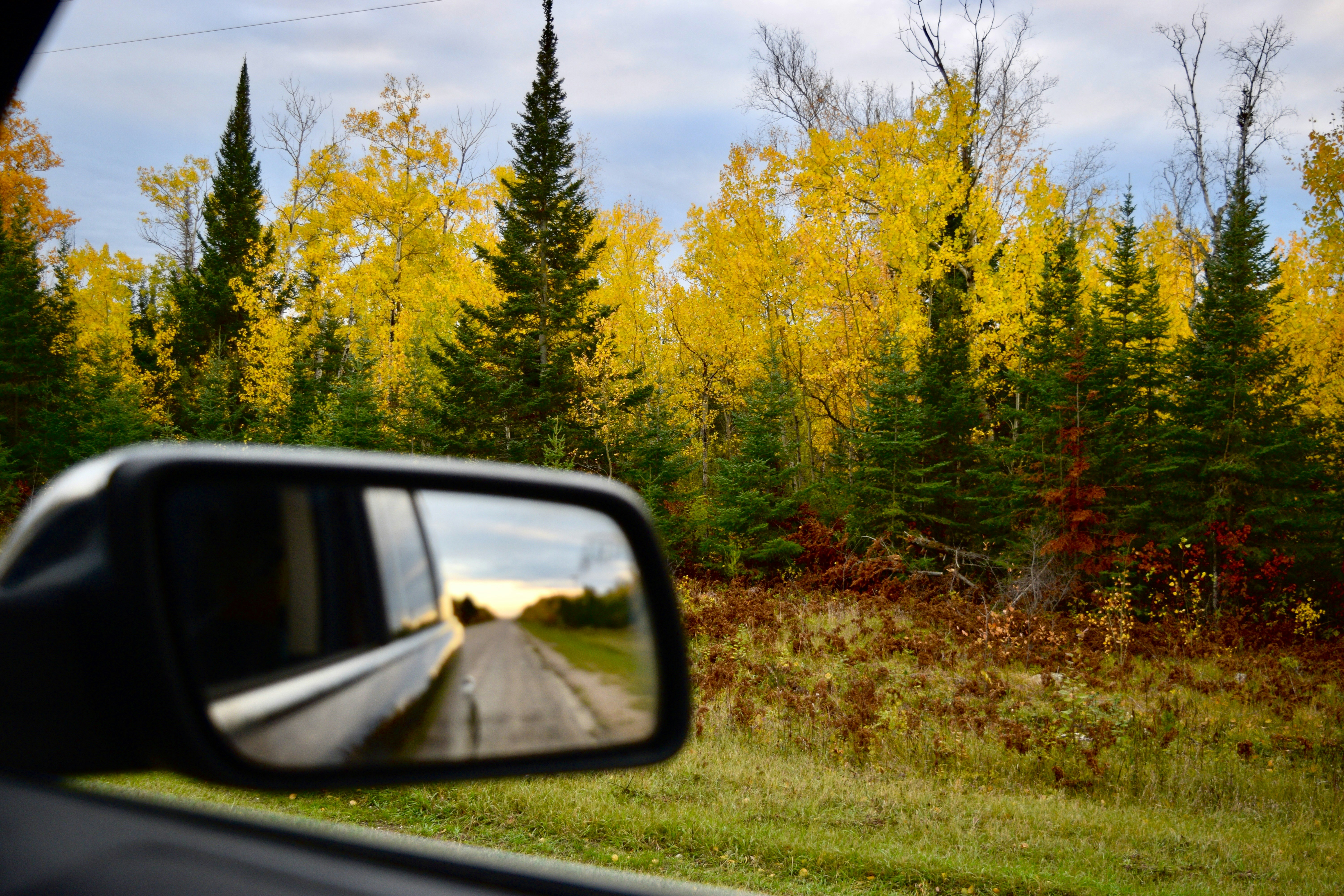 Autumn Highway Reflected in a Side-View Mirror