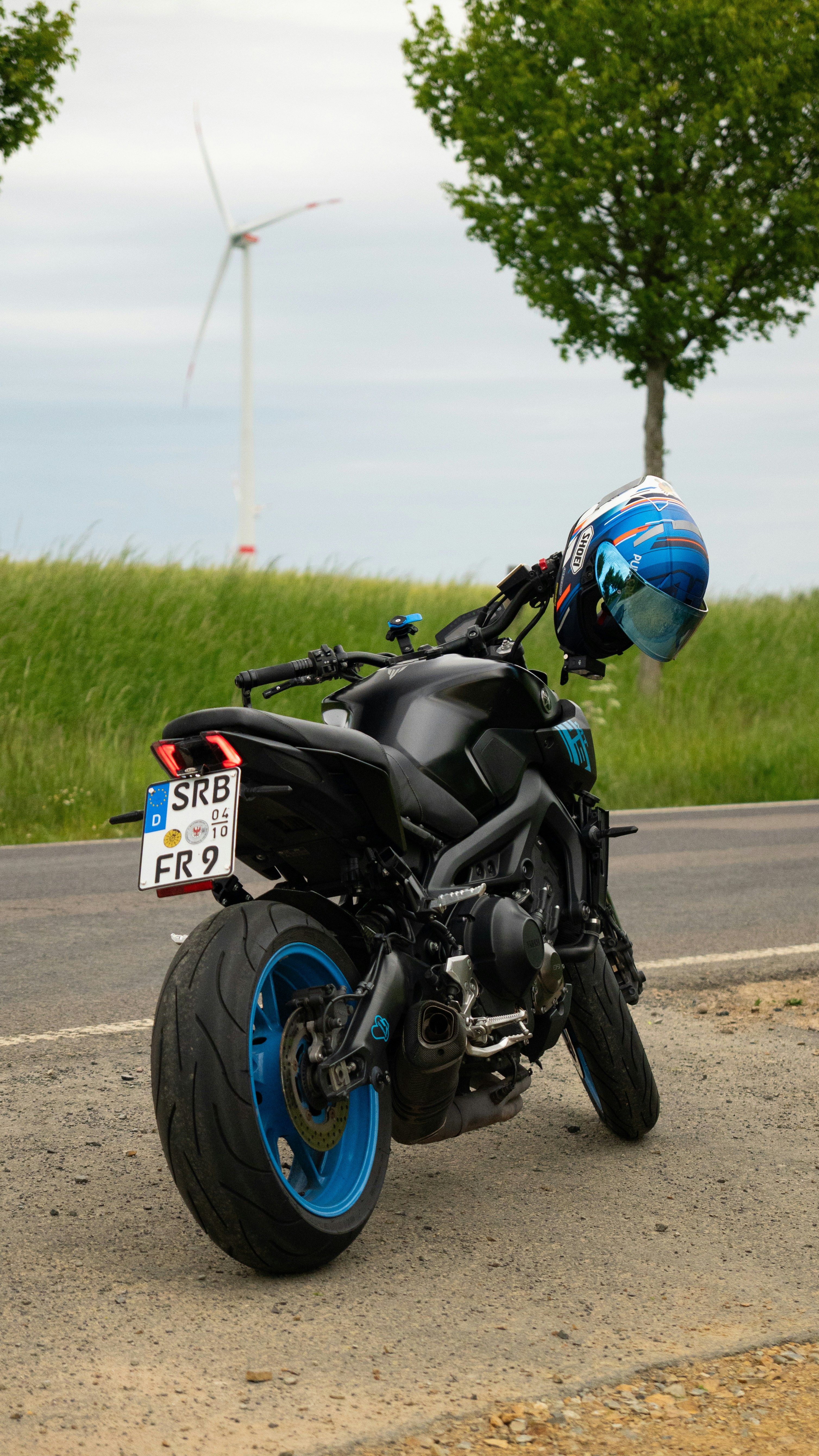 The Road Awaits: A Motorcycle's Pause in Nature