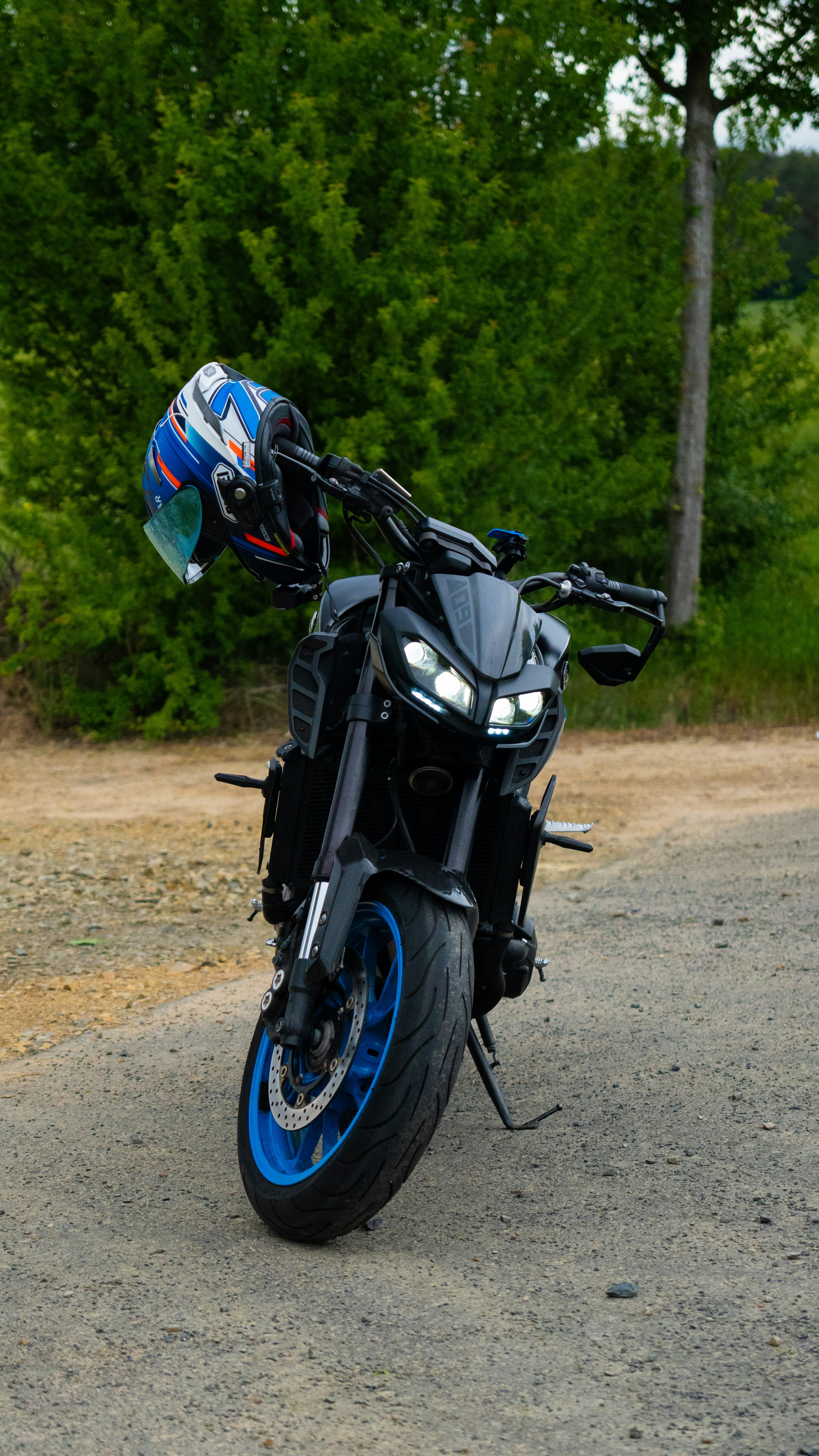 Asphalt Warrior: The Bold Ride Awaits
