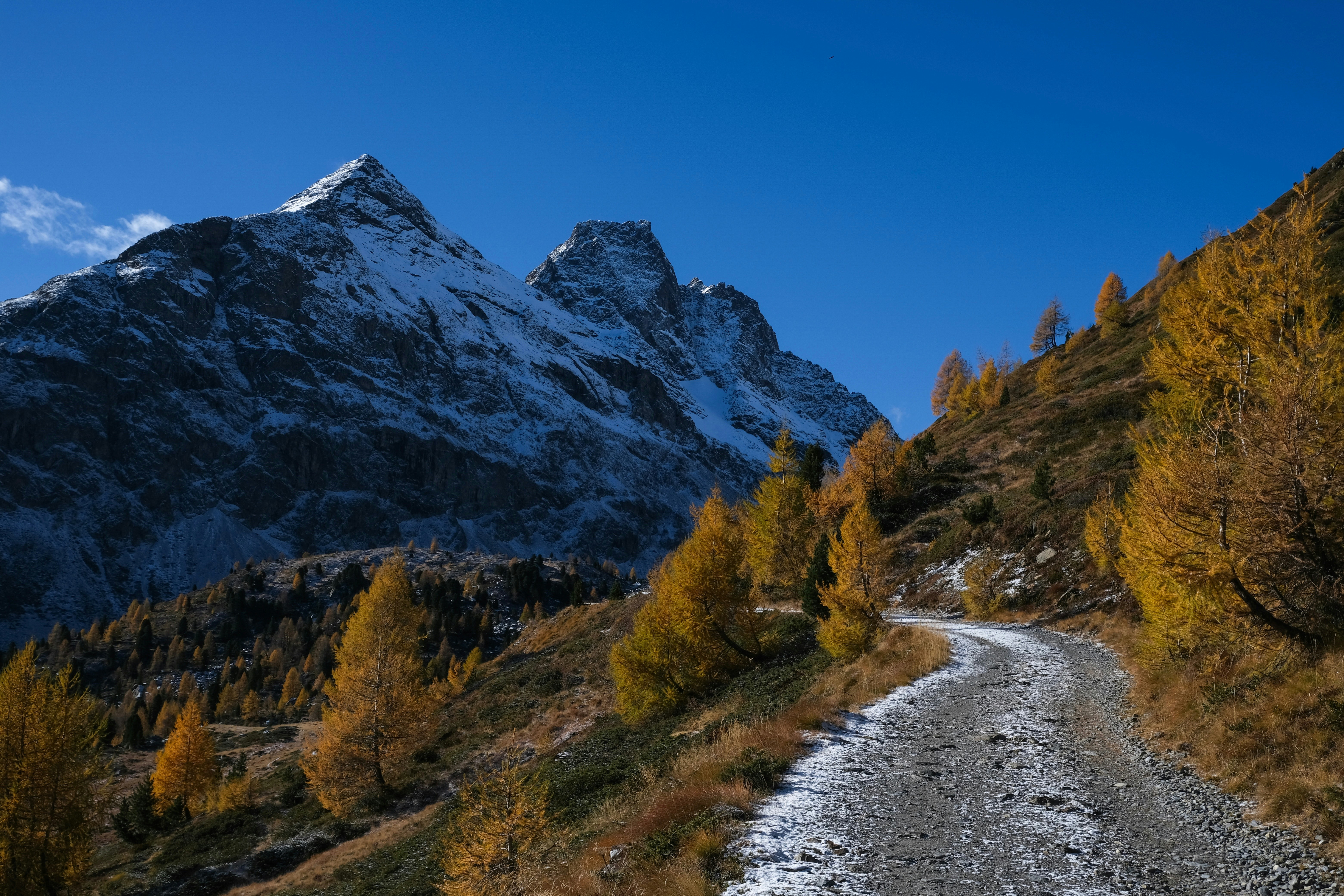 Val Viola, Lombardia - Italy | A winding mountain path with autumn trees and snow-capped peaks.