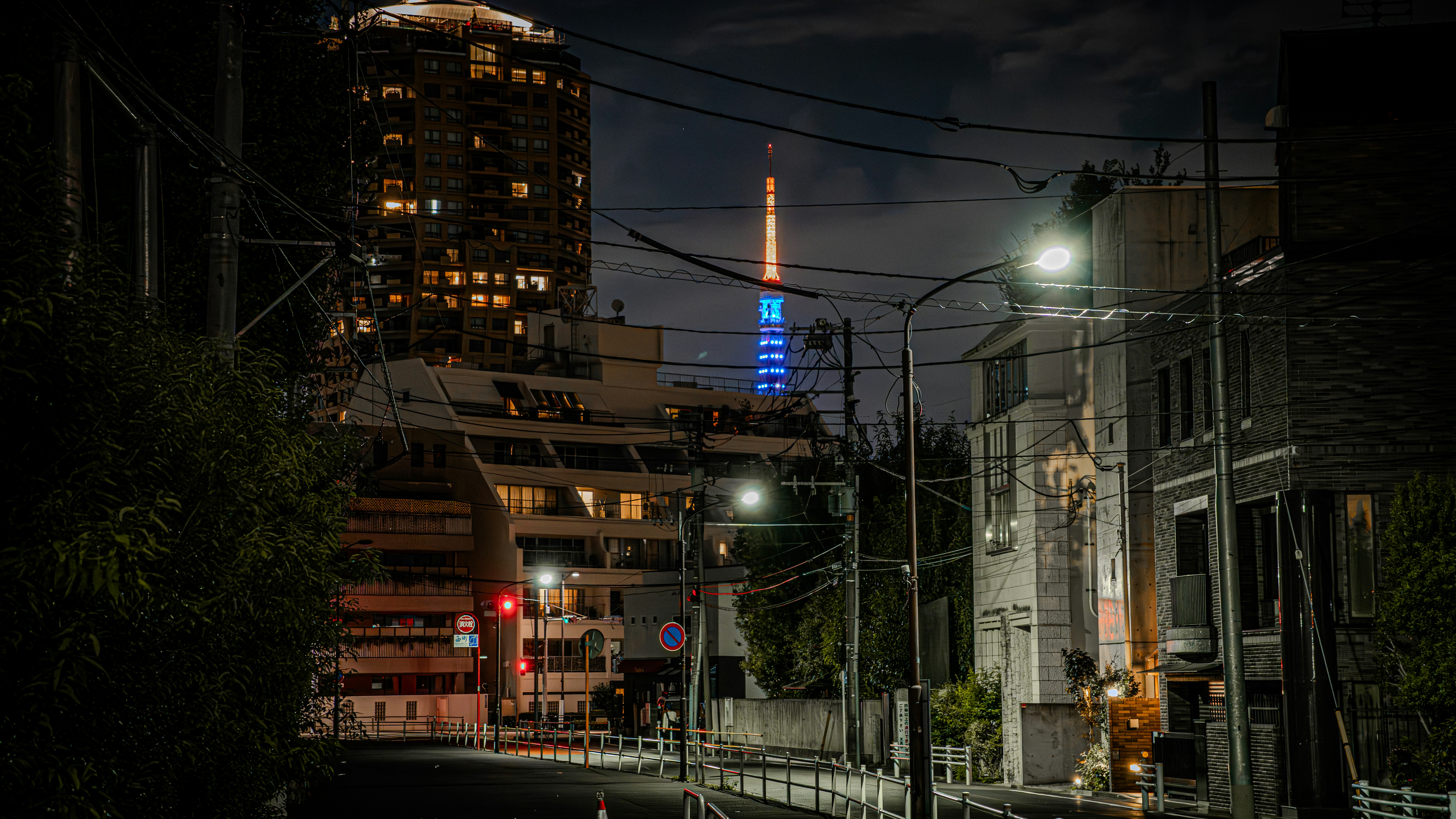 Urban Nightscape: A Glimpse of Tokyo's Heart
