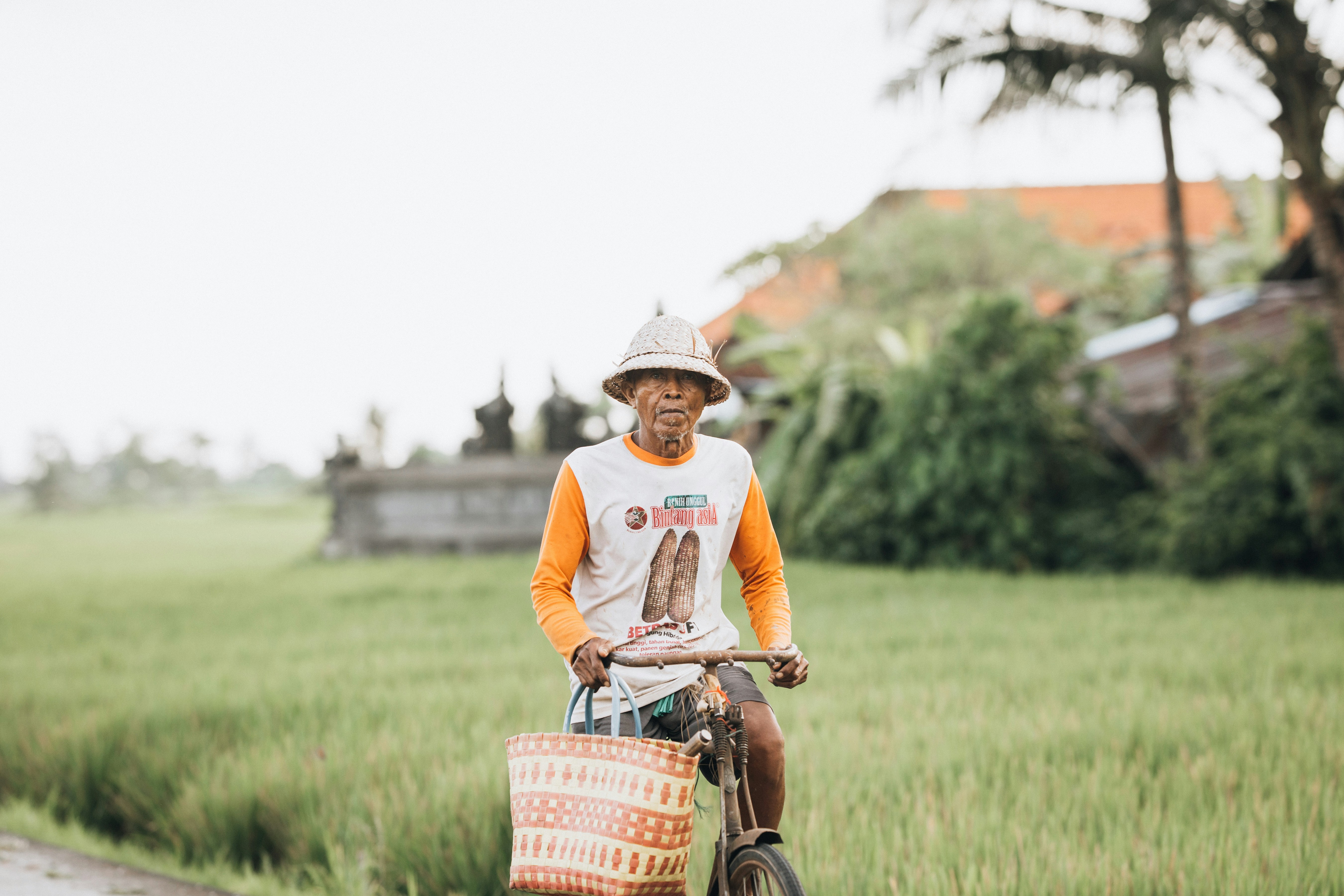 Balinese man on a vintage bicycle. | Man riding bicycle through lush green rice fields.