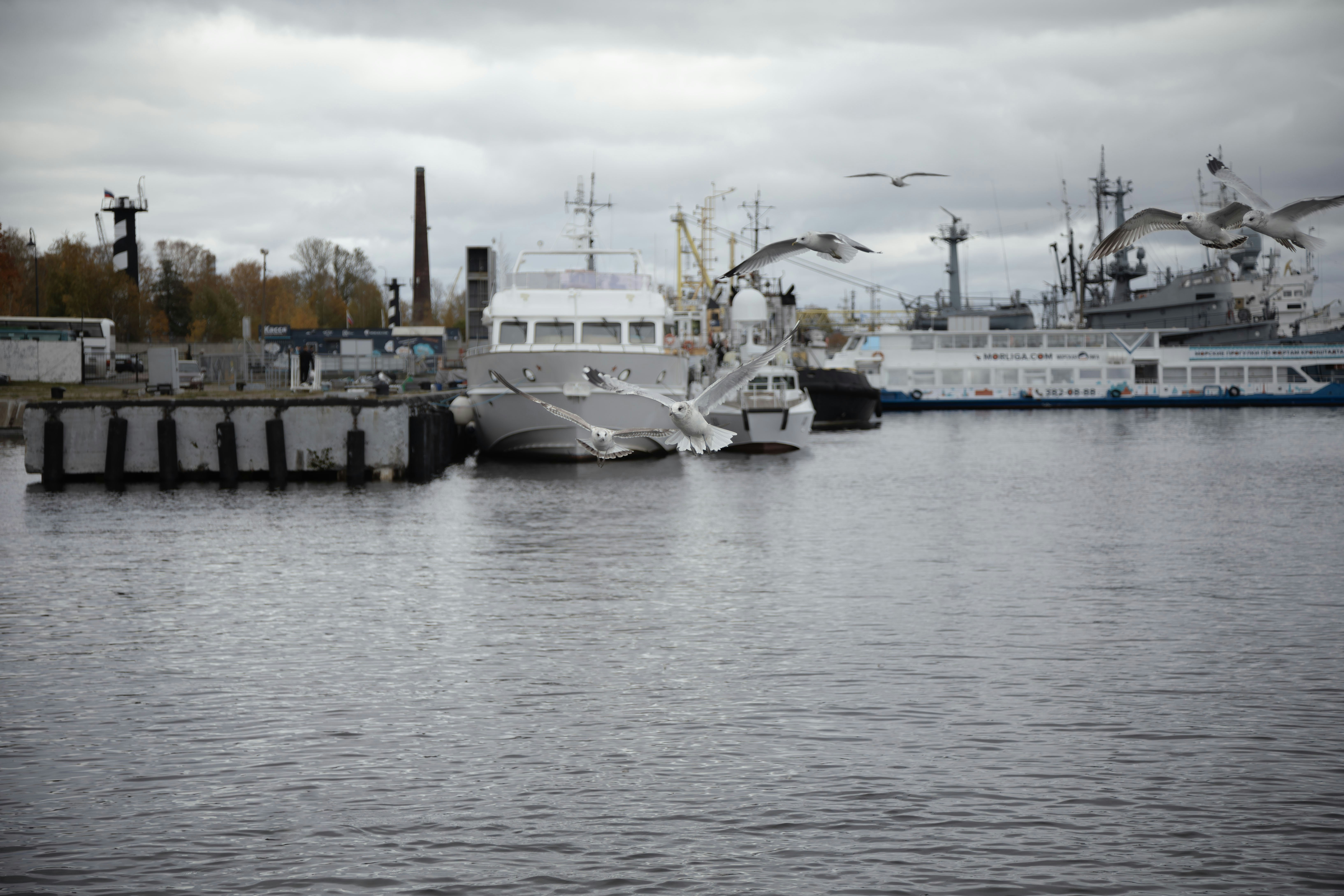 Kronstadt, St. Petersburg | Boats docked at a pier under a cloudy sky.