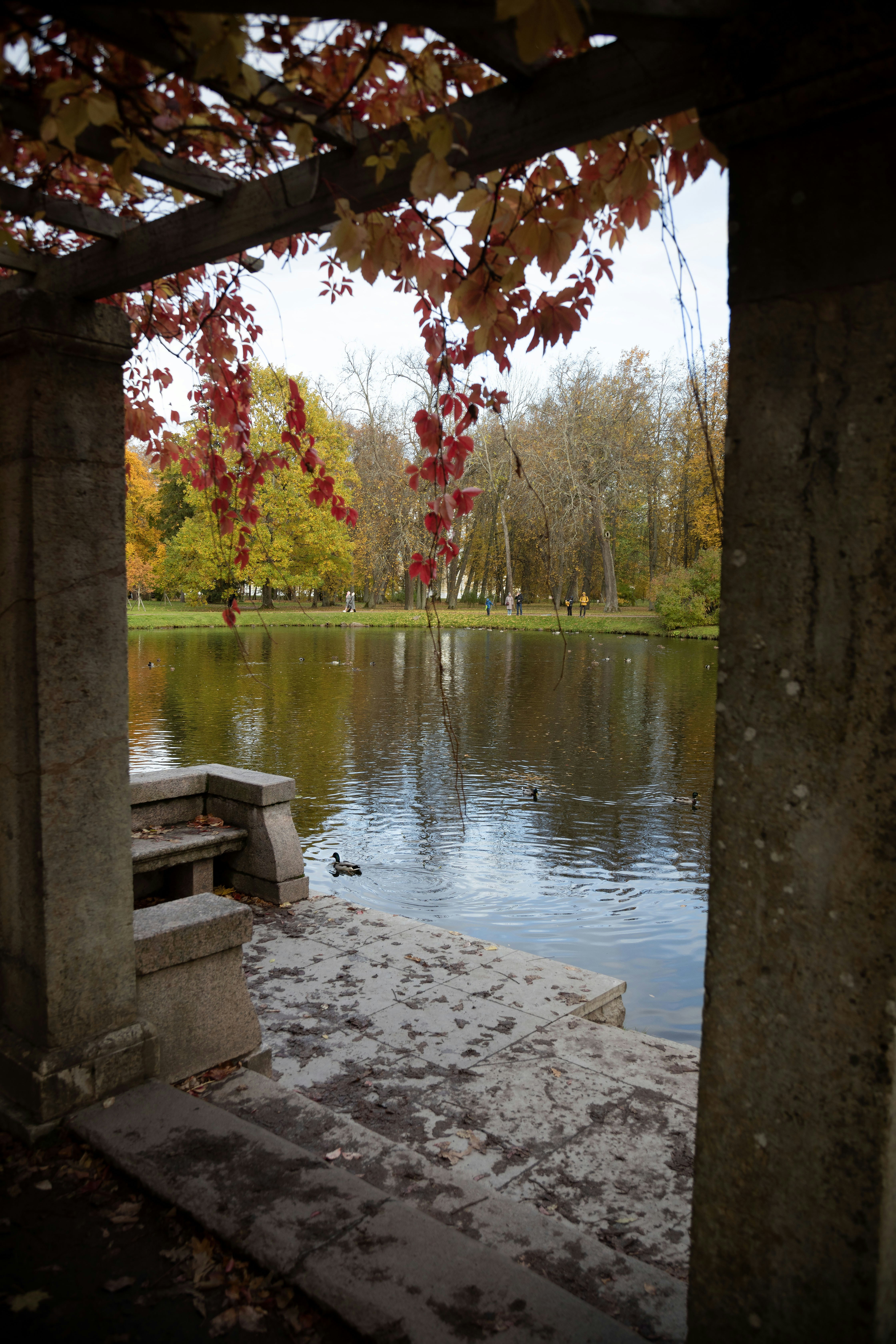 Autumn Gate: A Quiet View of the Water Through a Stone Pergola