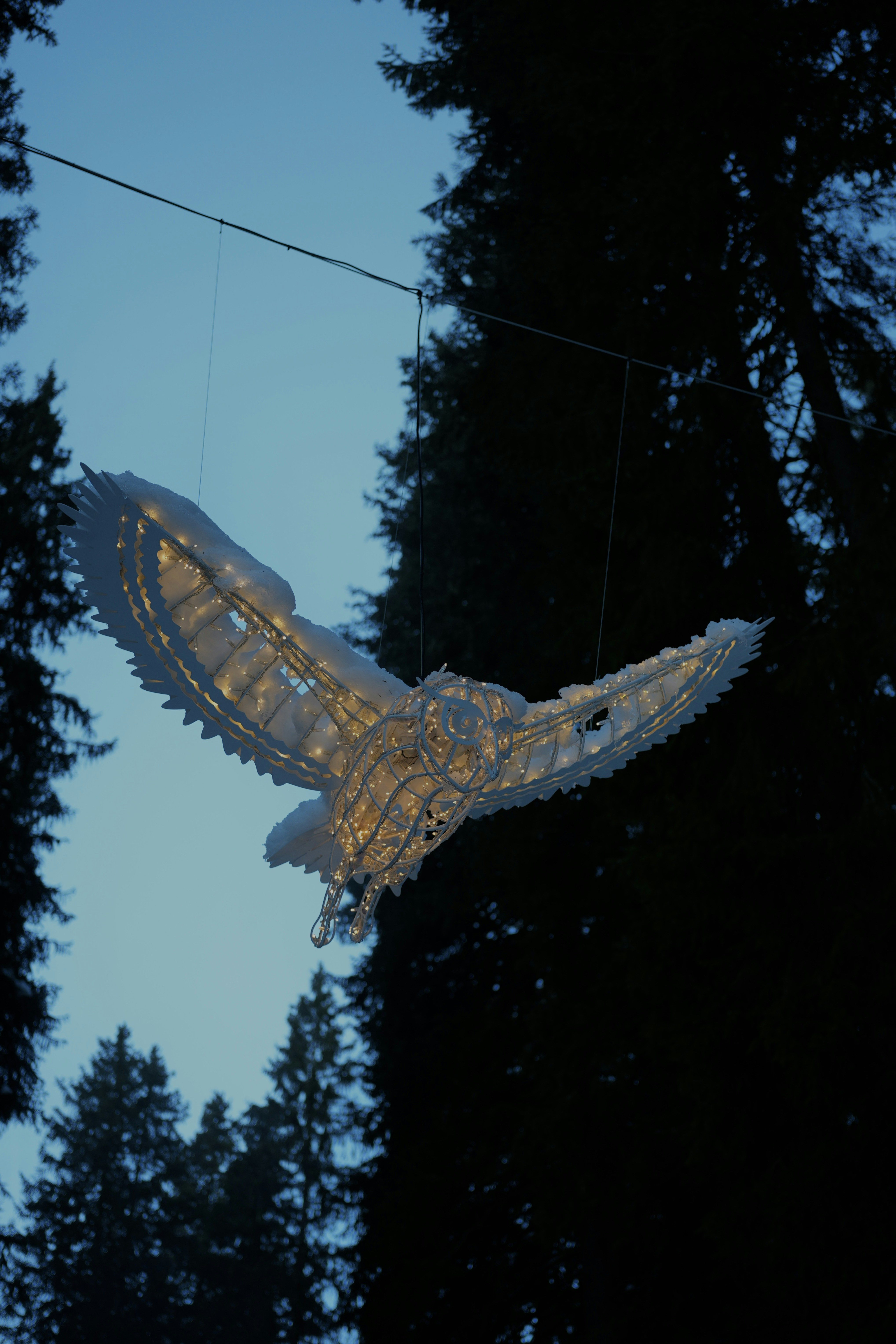 Illuminated Elegance: The Soaring Owl