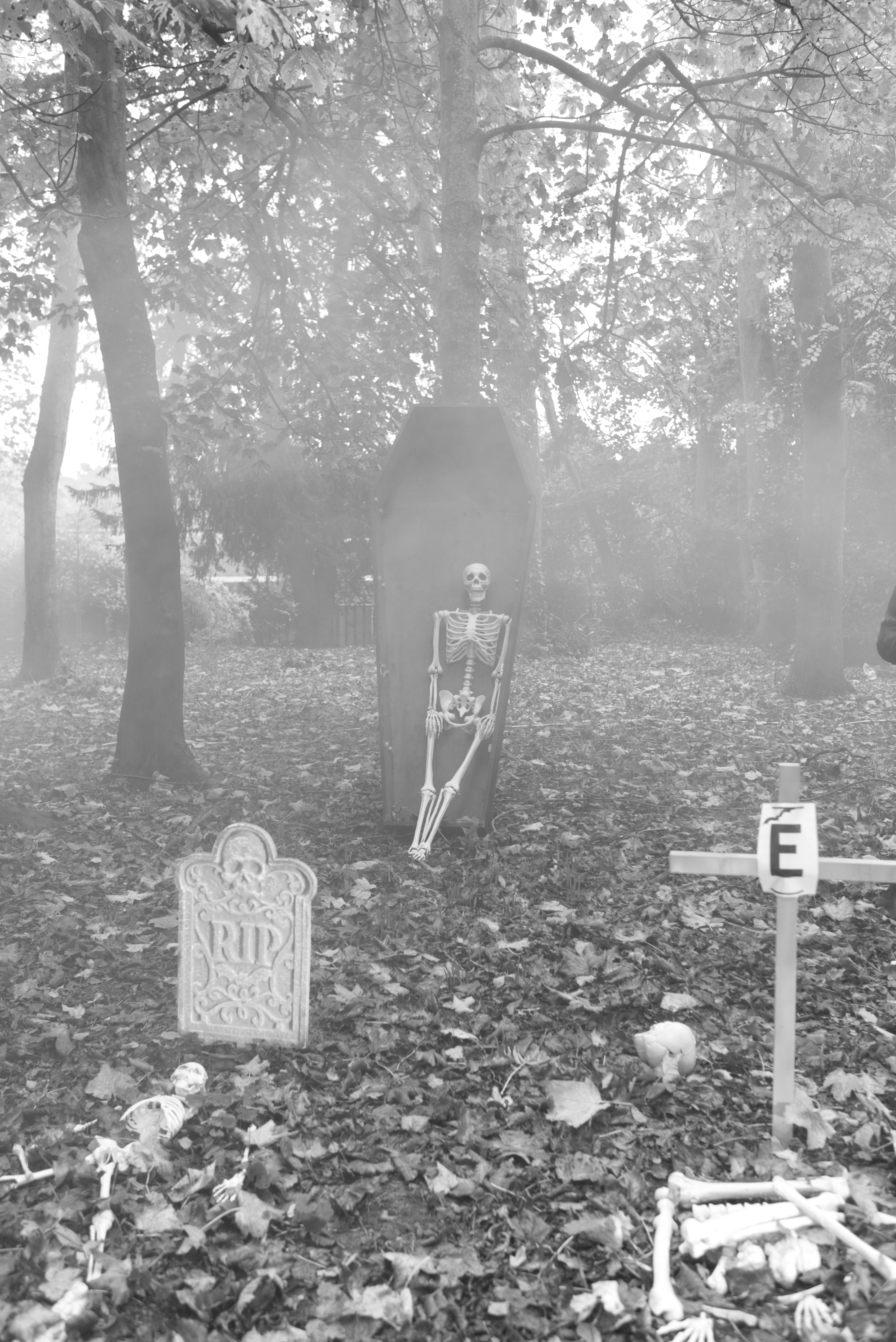 Whispers of the Forgotten: A Haunting Scene