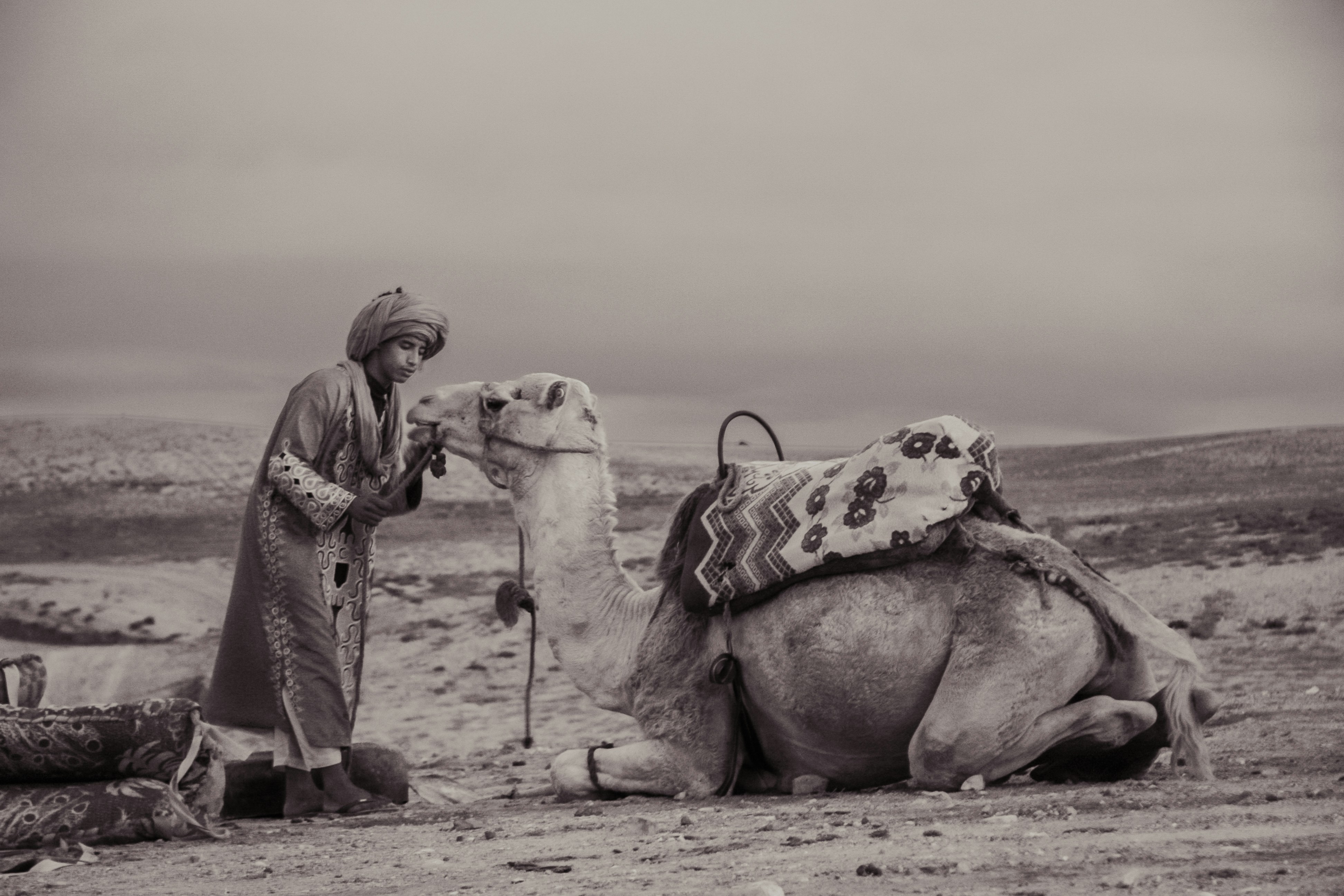 Whispers of the Desert: A Bond Beyond Time