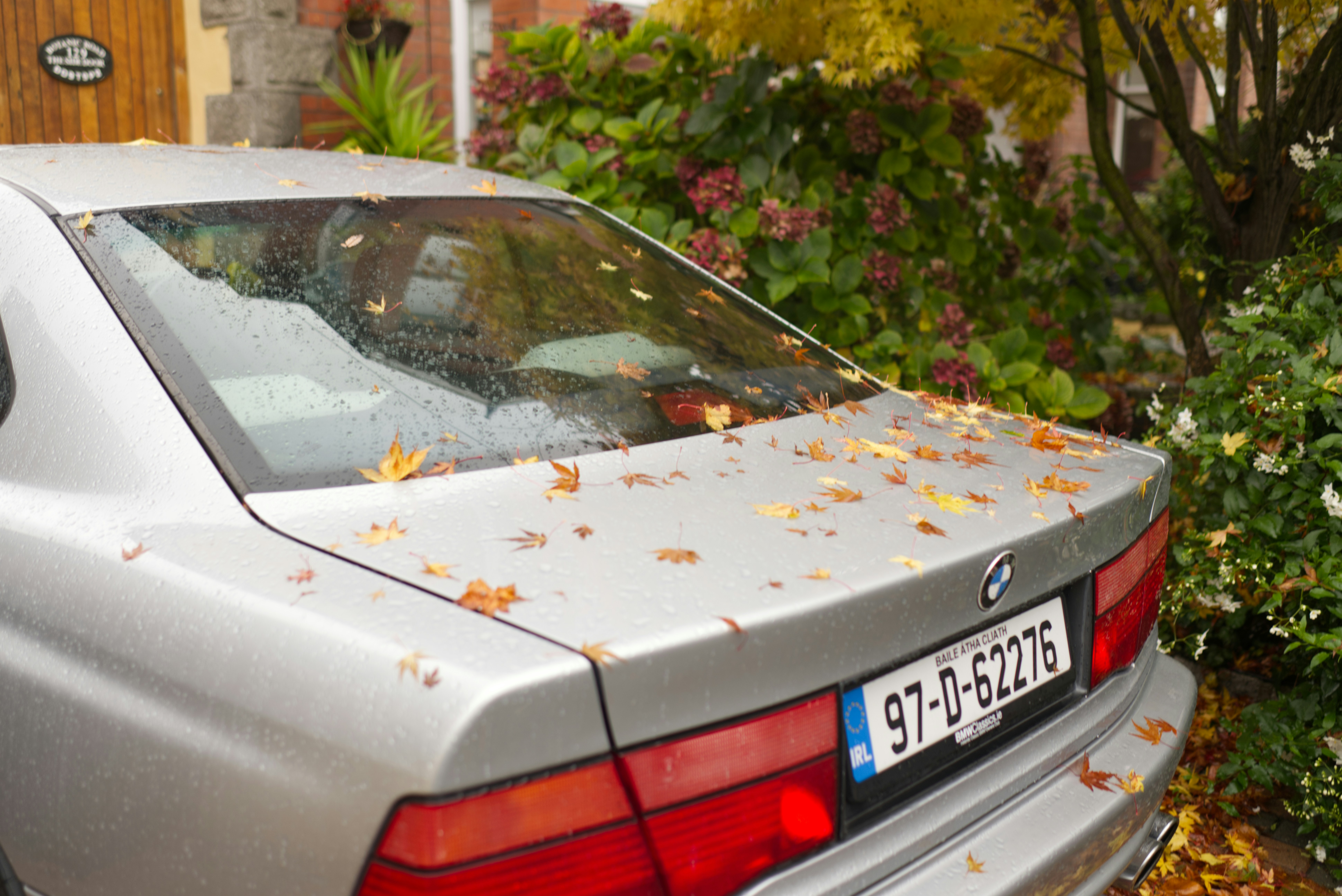 Autumn's Gentle Touch on a Silver Ride