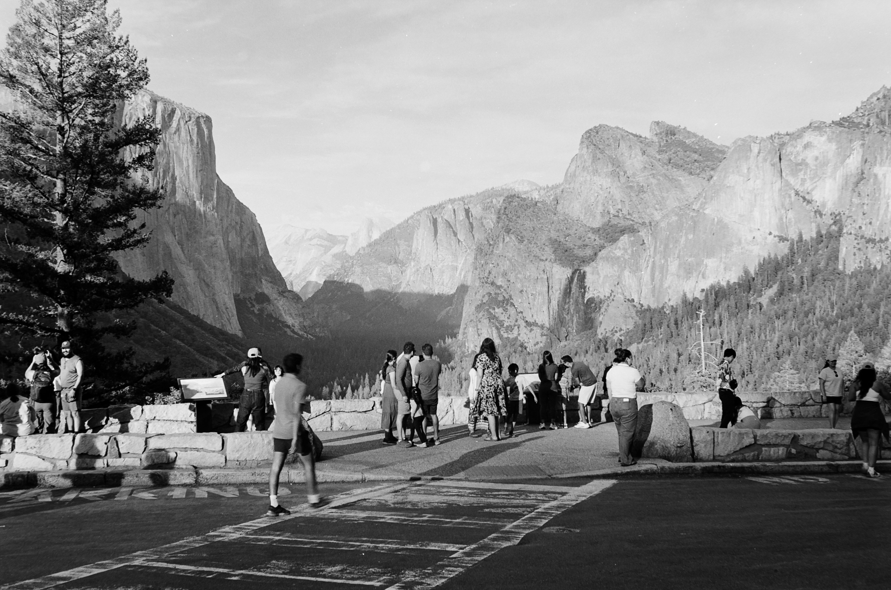 Gathering at the Edge of Majesty