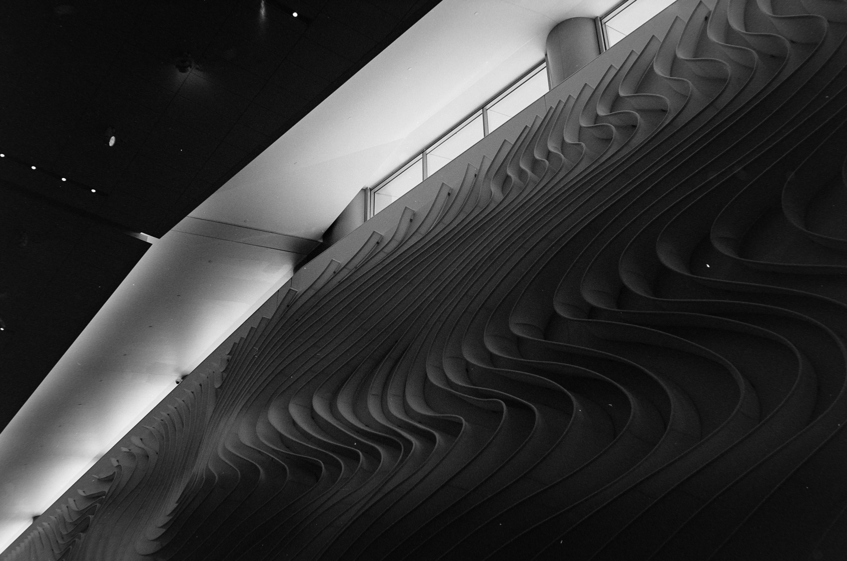 Rhythmic Waves of Architectural Elegance