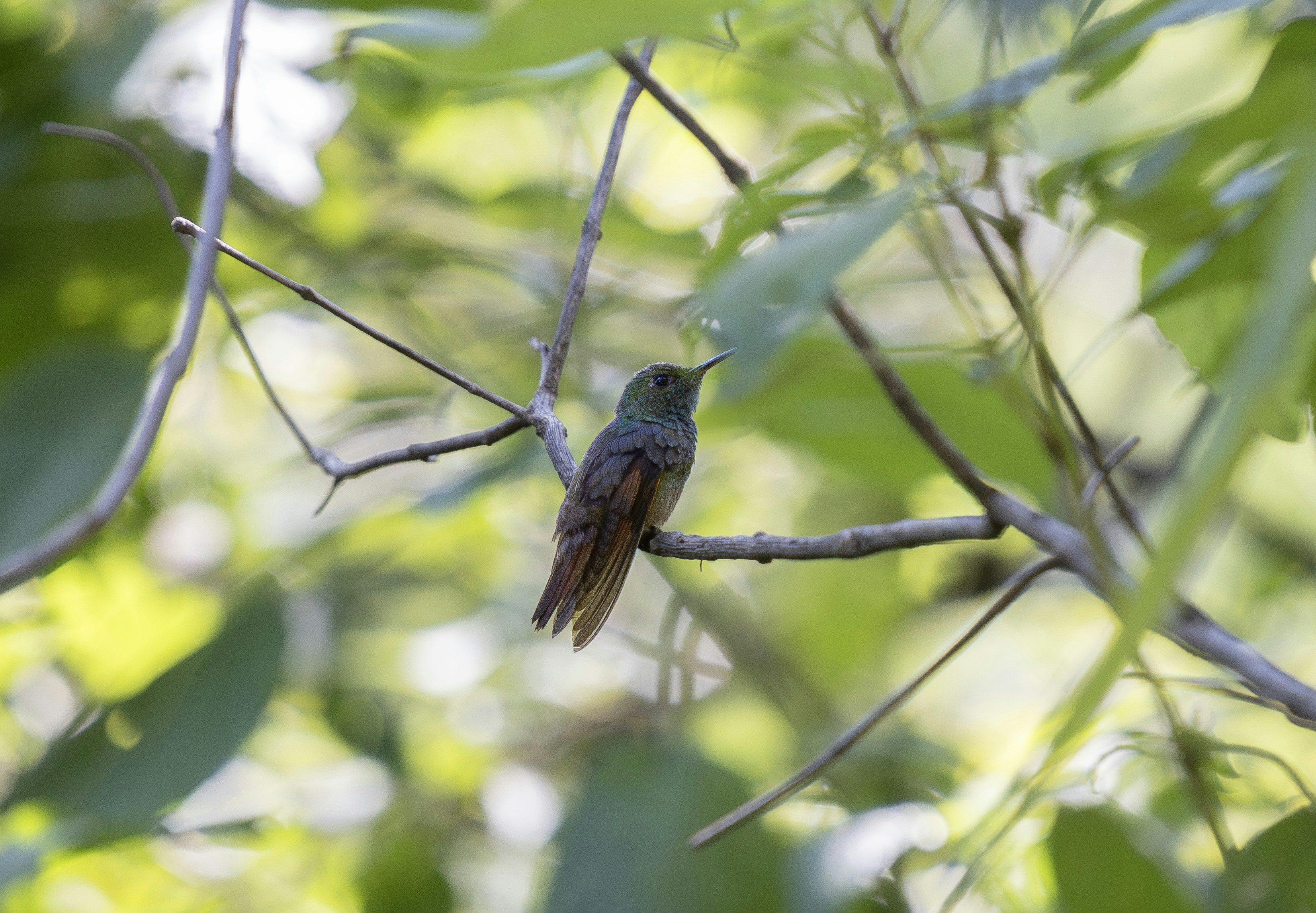 Photo by Alfonso Betancourt with Canon EOS R