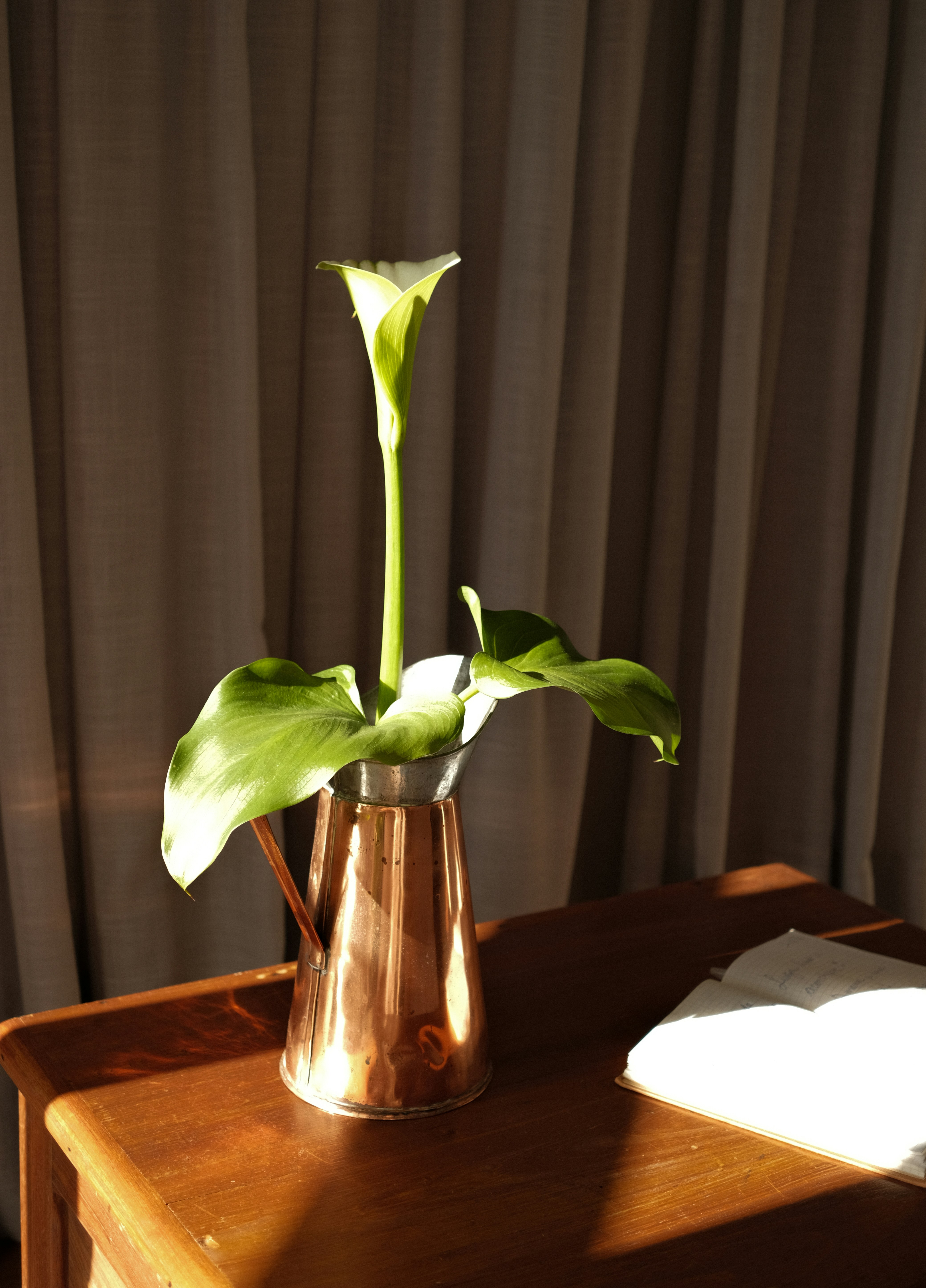 Elegance in Minimalism: A Floral Statement