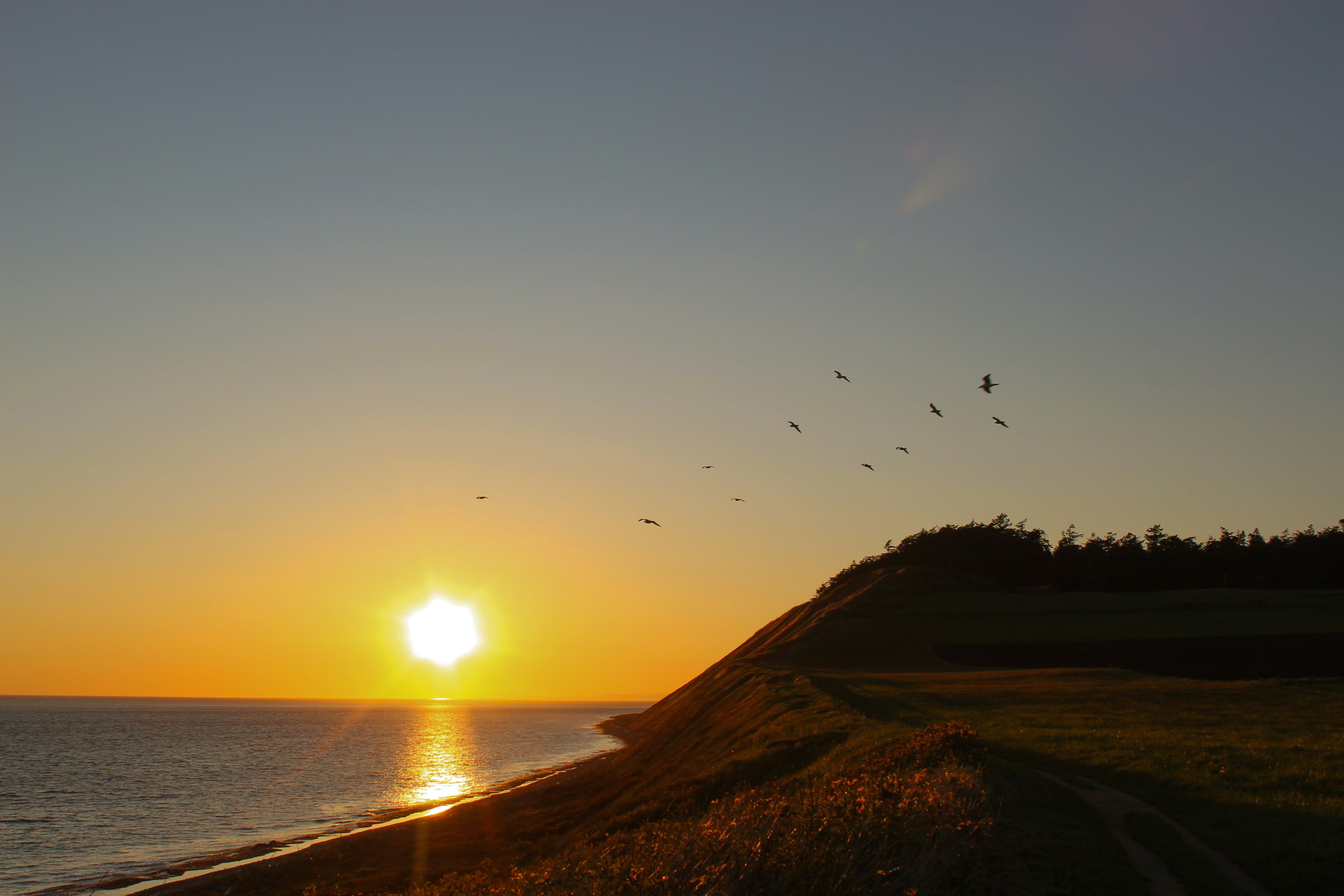 Twilight's Embrace: A Coastal Serenade