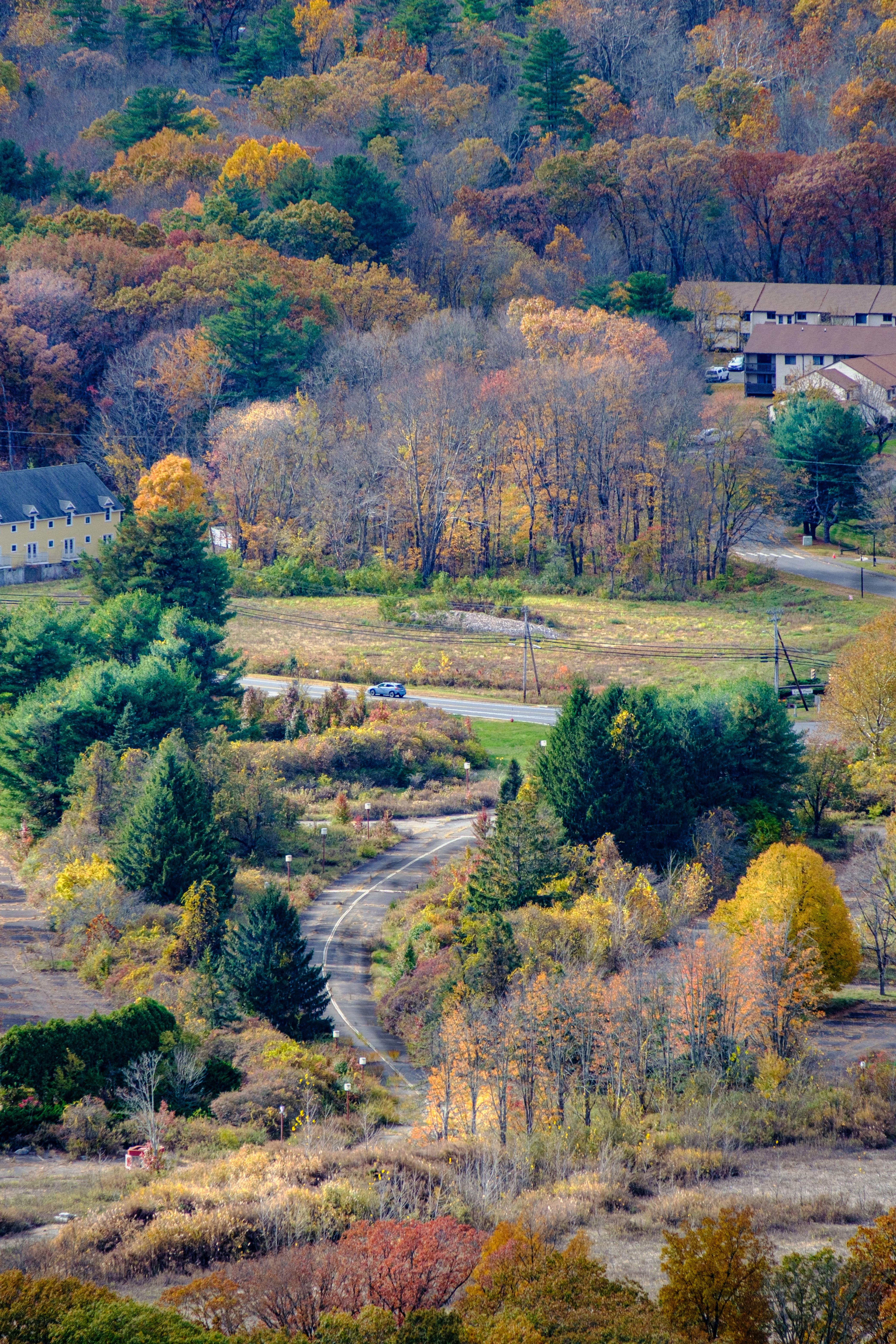 Autumn's Palette: A Tapestry of Color and Curves