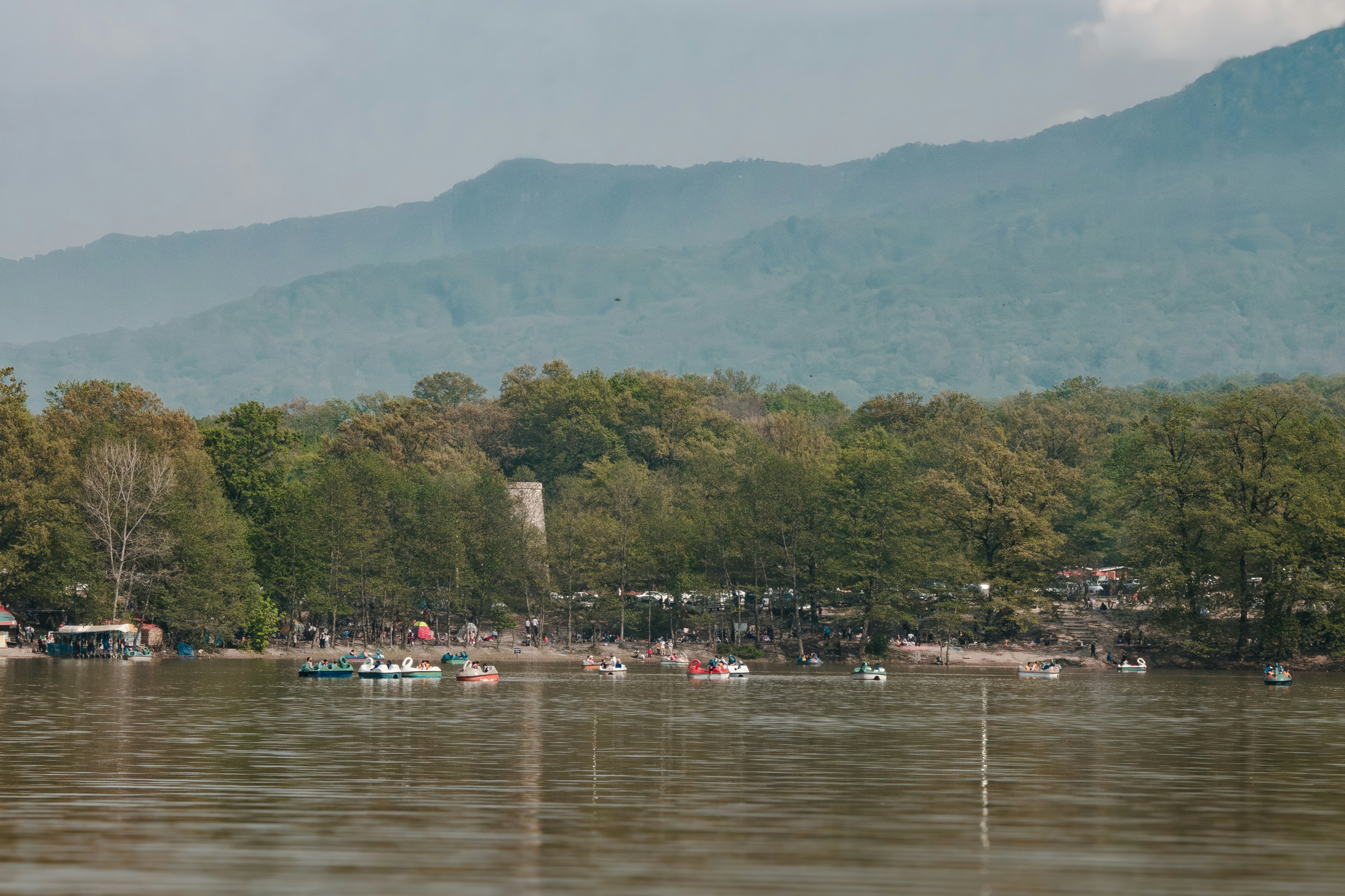 Serene Waters: A Day of Leisure Amidst Nature's Embrace