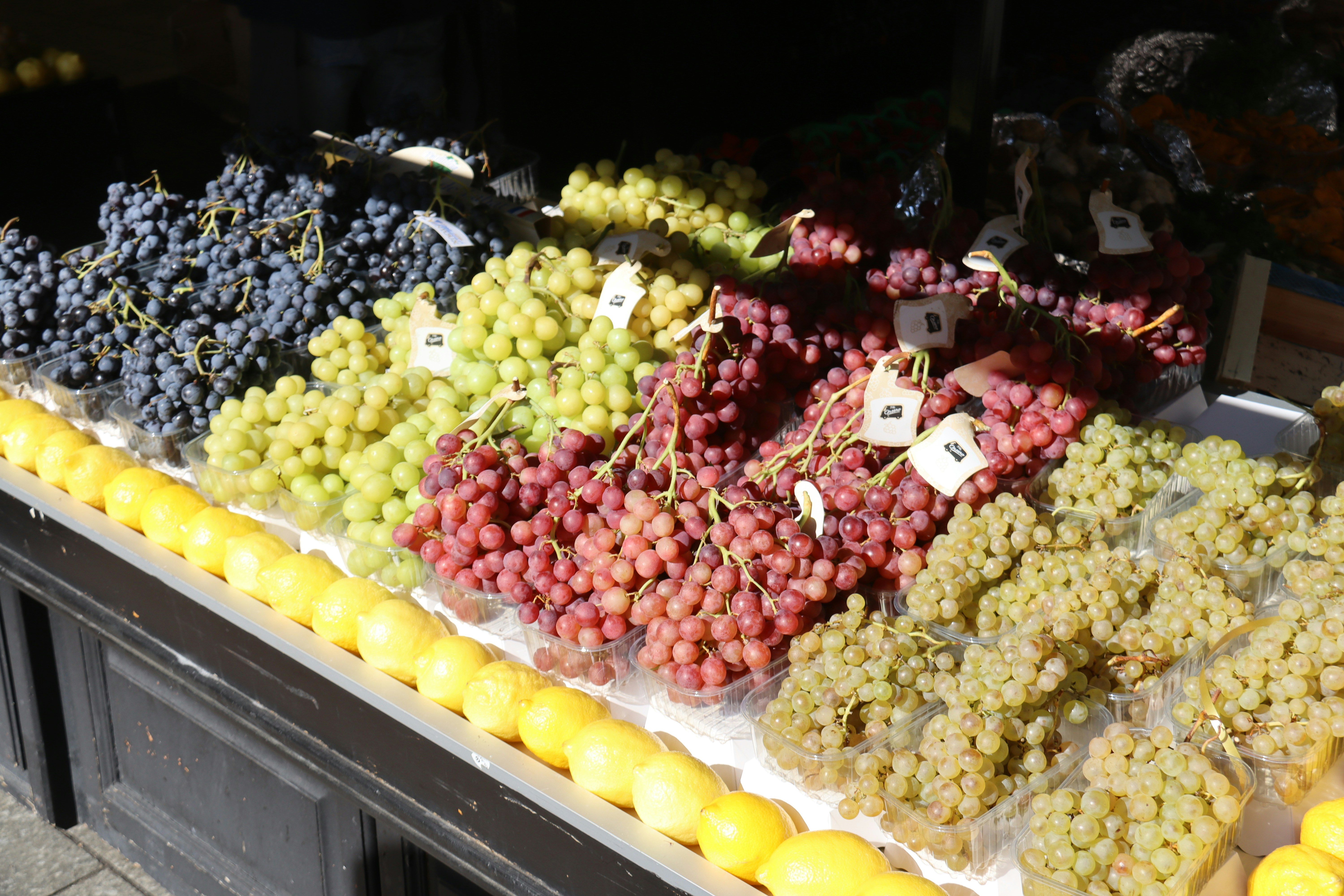 Bunches of red, green, and purple grapes displayed.