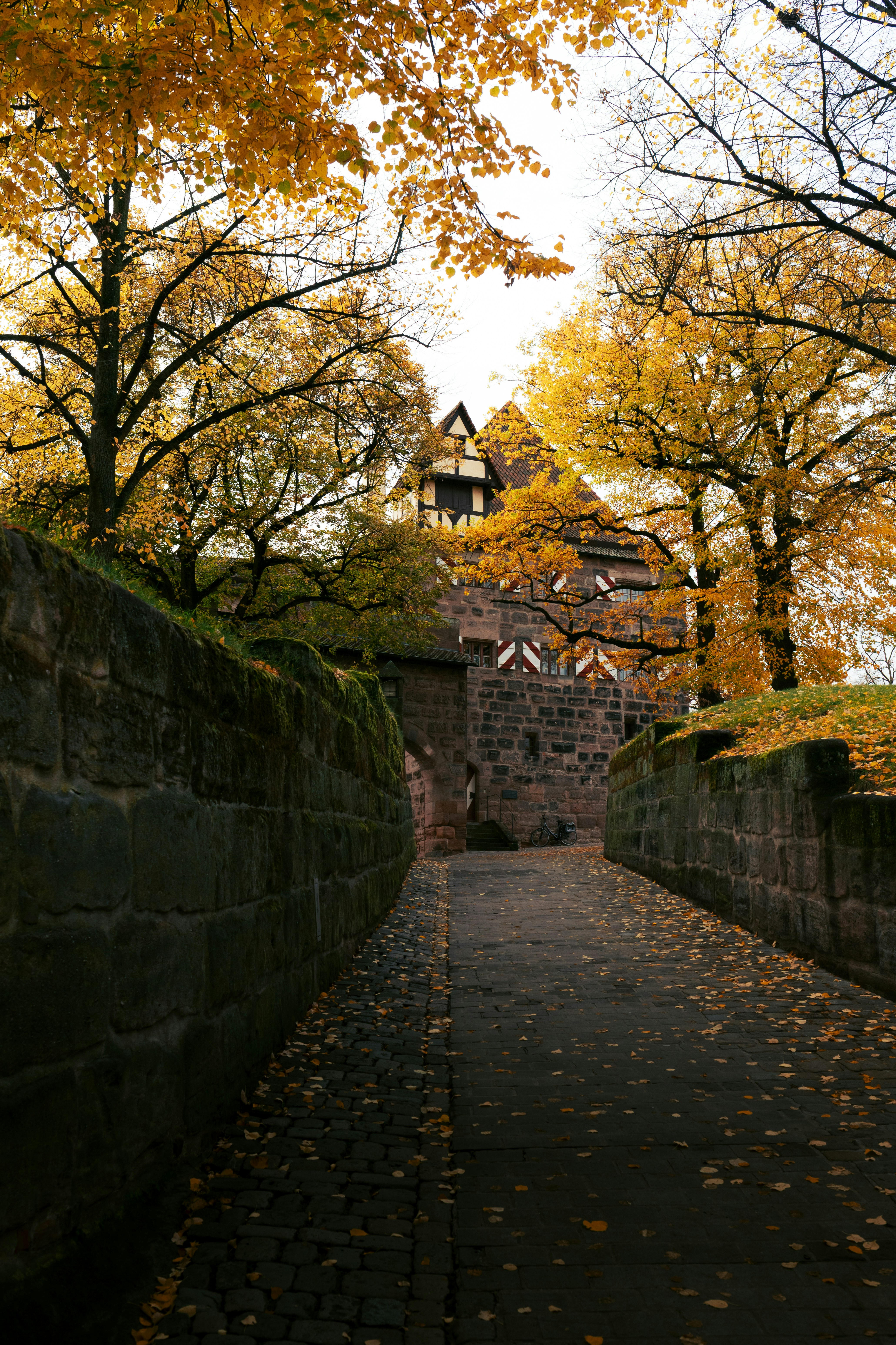 Autumn's Embrace: A Pathway to History