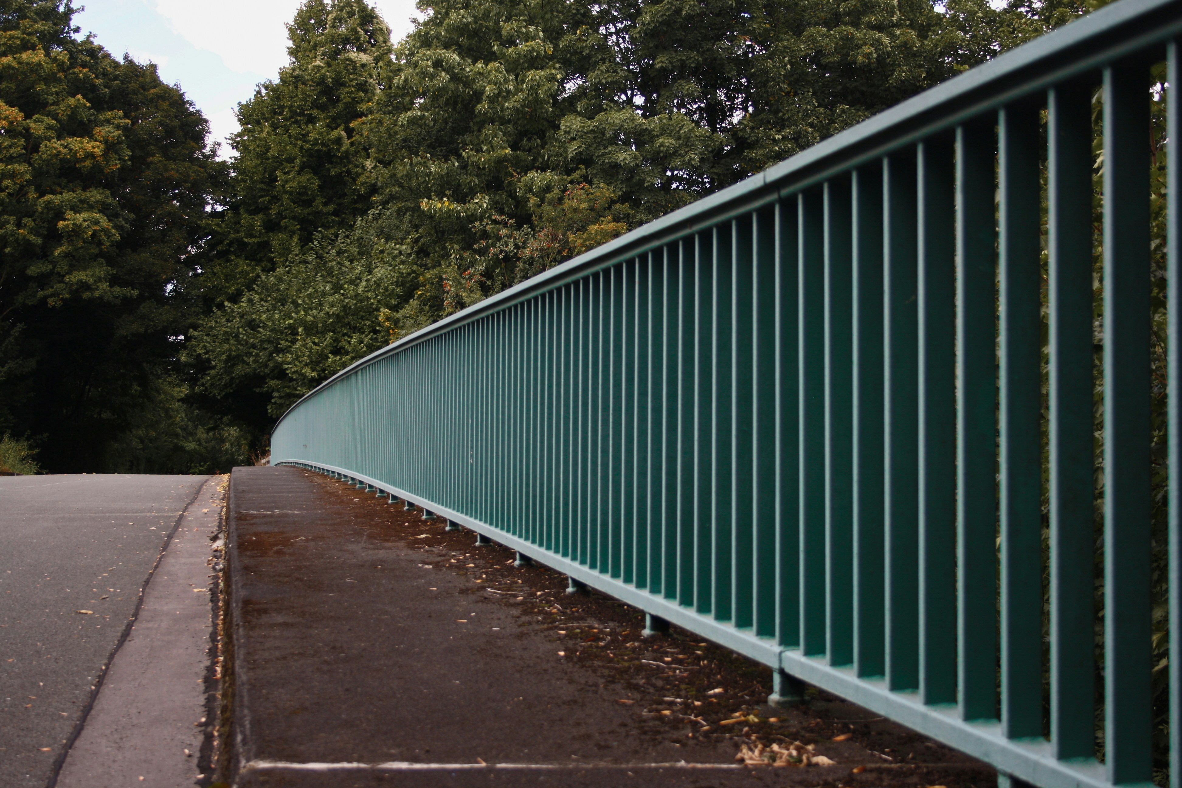 Curved Pathway to Nature's Embrace