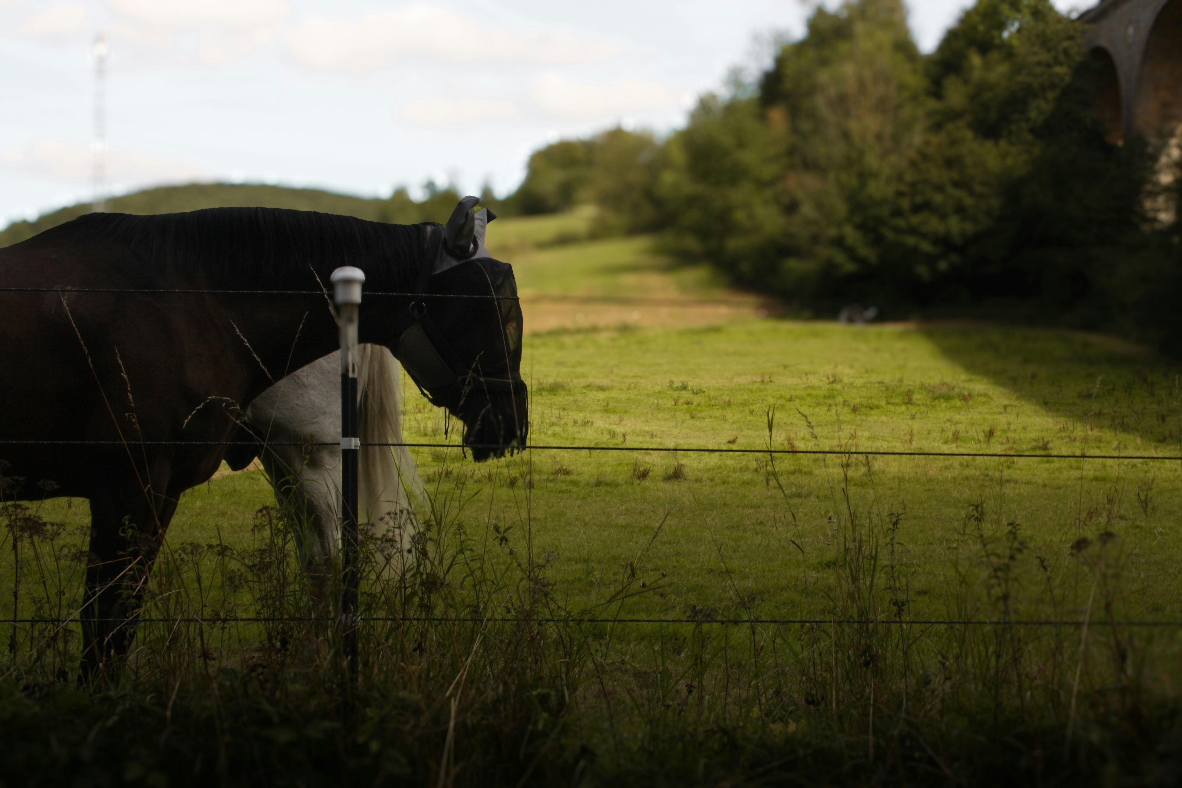 Quiet Moments in Pastoral Harmony
